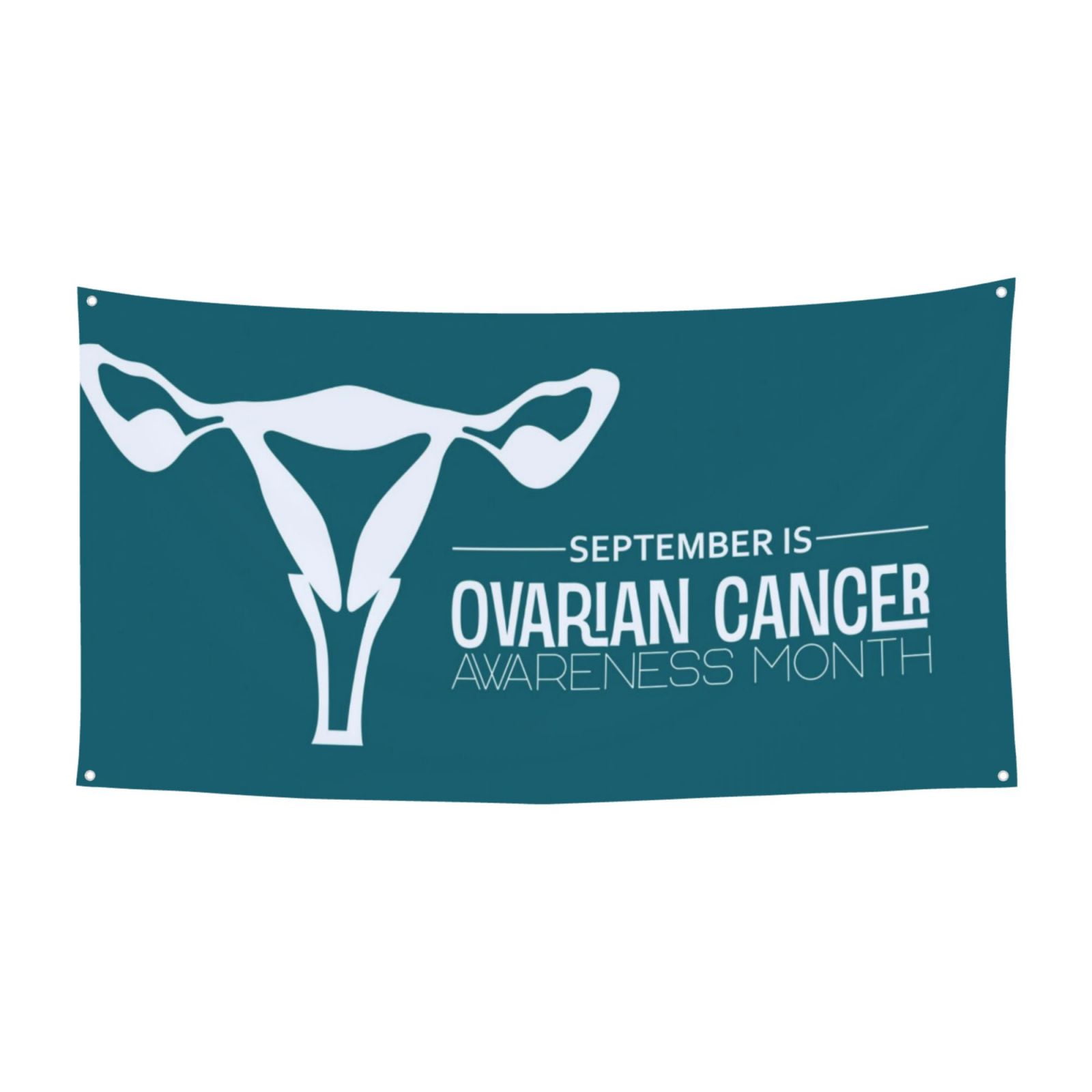 Ovarian Cancer Awareness Month Banner Flag Photography Background ...
