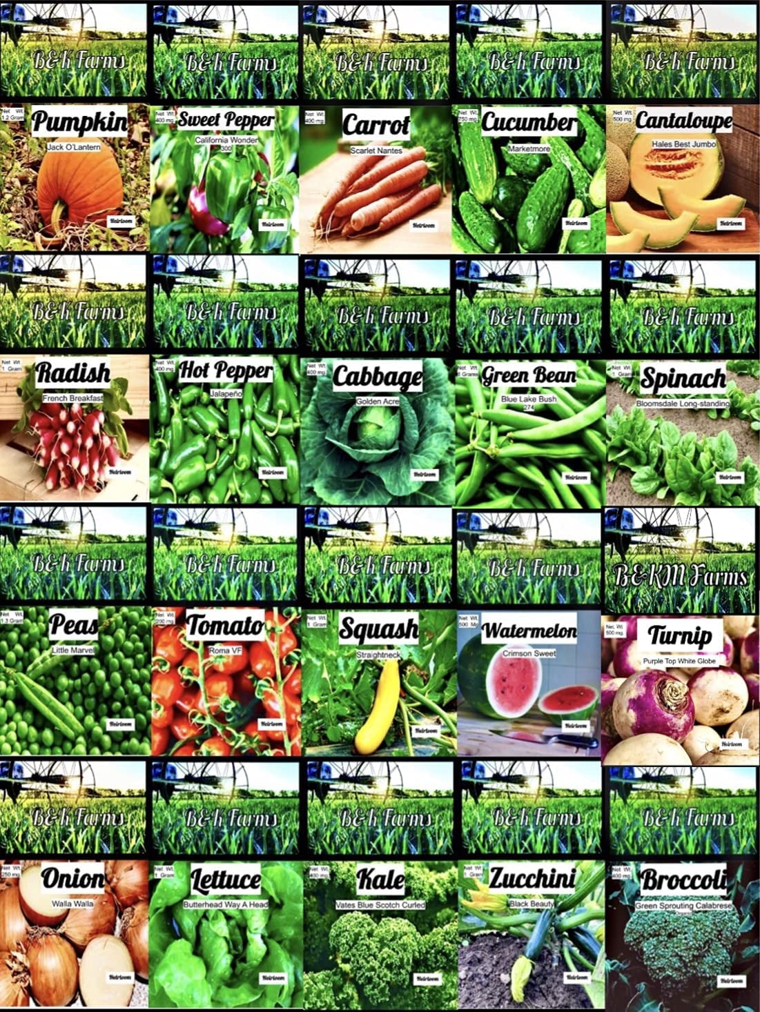 Over 5,000 Seeds!! Set of 20 Vegetable, Herb & Melon Garden Seeds ...