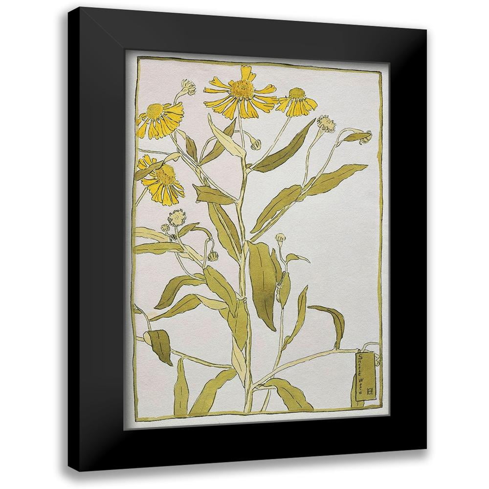 Overbeck, Hannah Borger 17x24 Black Modern Framed Museum Art Print ...