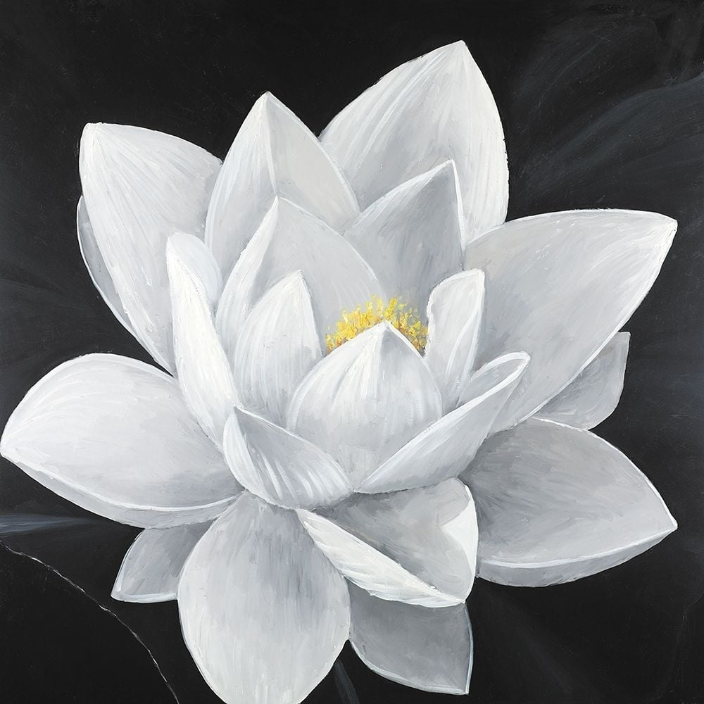 Overhead View Of A Lotus Flower Poster Print by Atelier B Art Studio ...