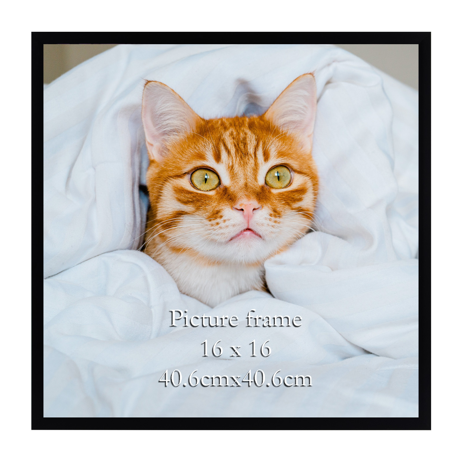 Mainstays 18" x24" Black Basic Poster Wall Frame - Walmart.com