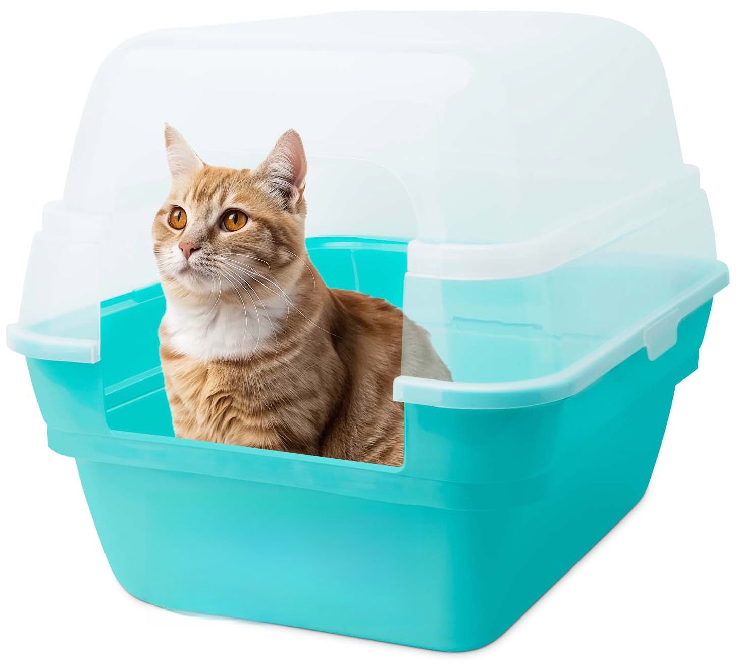 Oversized Litter Box, Gray Color, Extra Large with Cover - Walmart.com