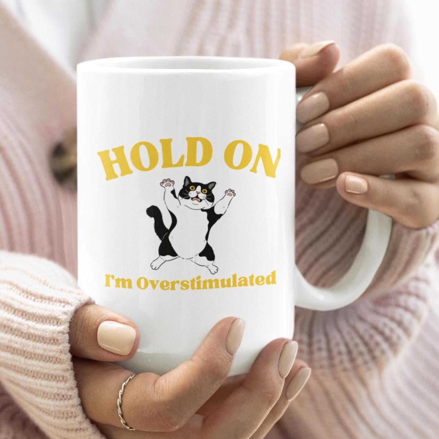 Overstimulated Cat Mug Funny Birthday Gift for Gen Z - Walmart.com