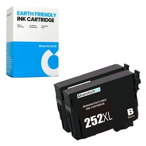 Epson 252 Ink
