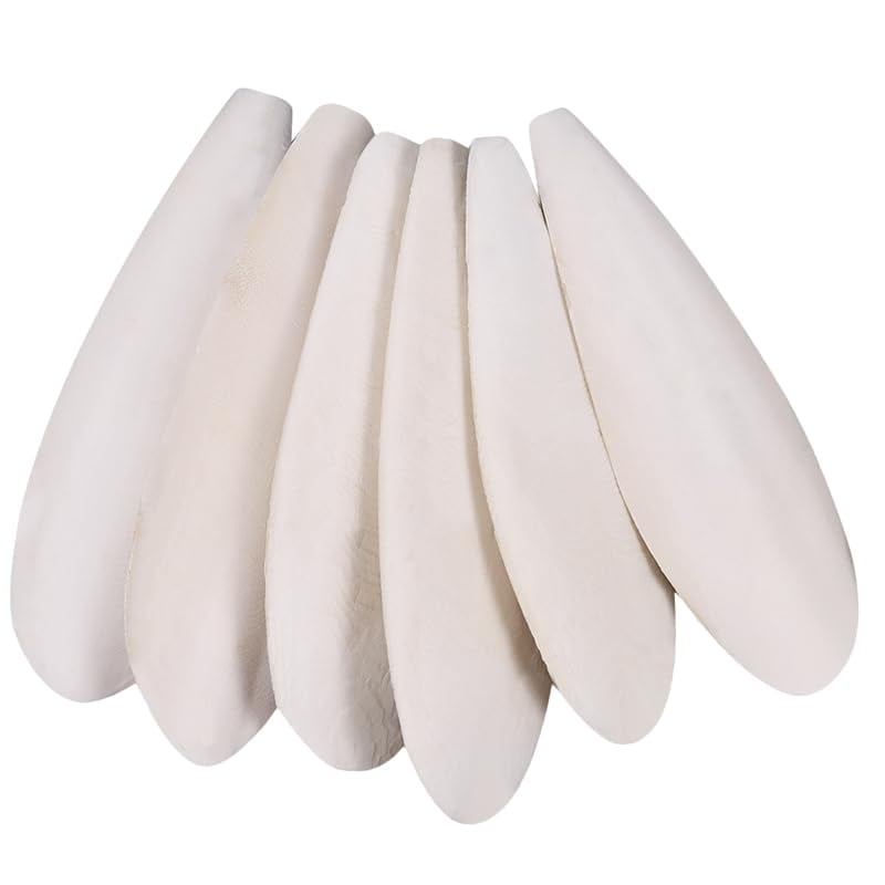Ovveroche 6 Pcs TWE5 Natural Cuttlebone for Birds Parakeets Pure ...
