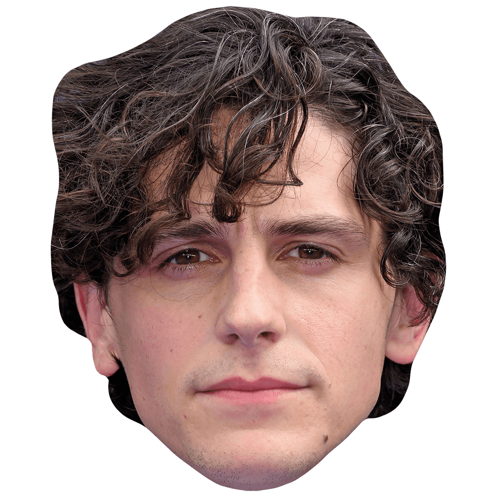 Owen Painter (Curls) Celebrity Mask, Flat Card Face, Fancy Dress Mask ...