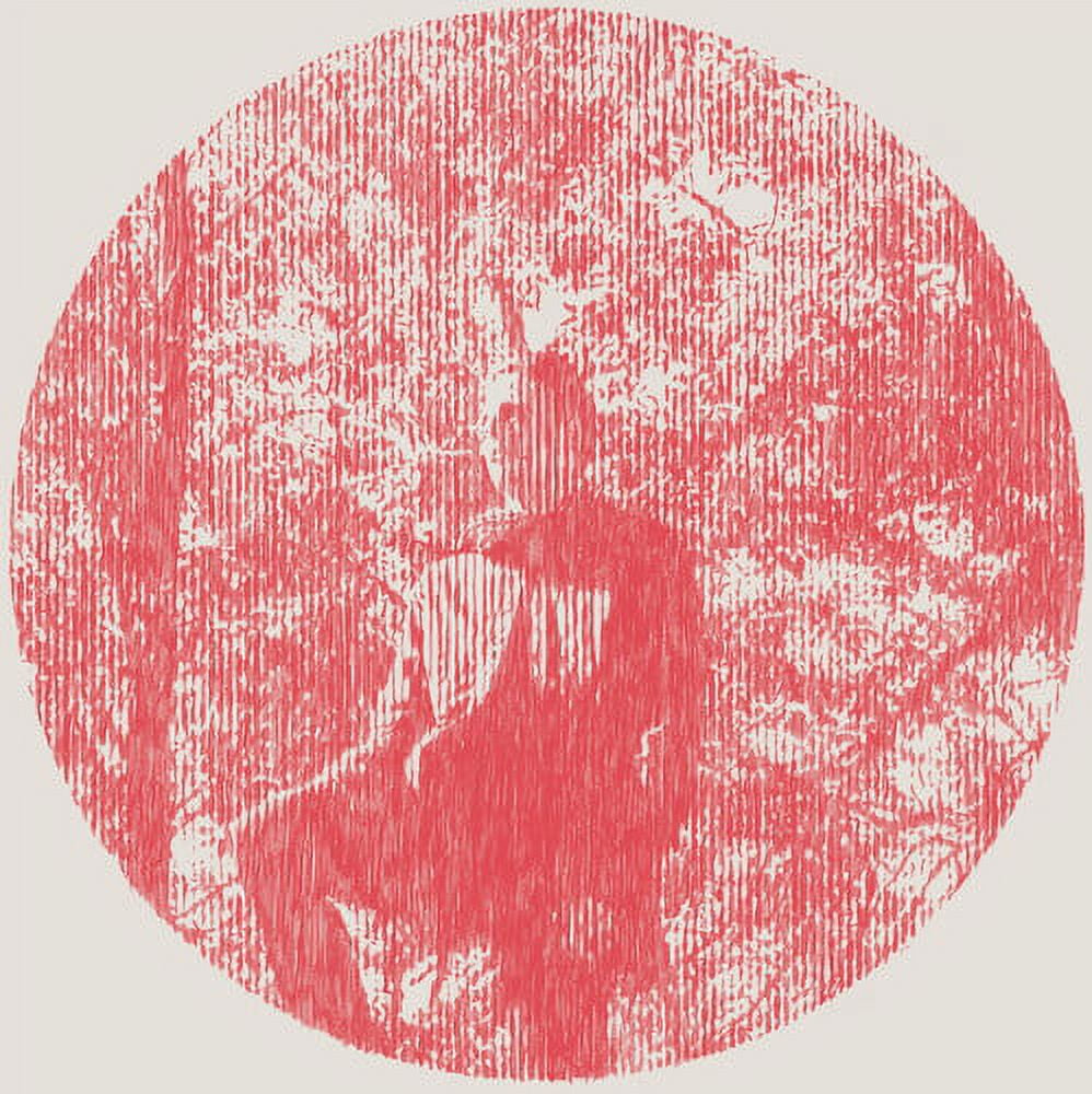 Owen Pallett - Heartland - Rock - CD - Walmart.com