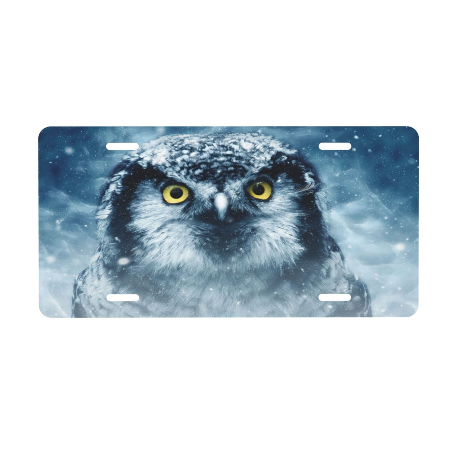 Owl Bird Pattern License Plate Front Metal Car Plate 6×12 Inch Aluminum ...