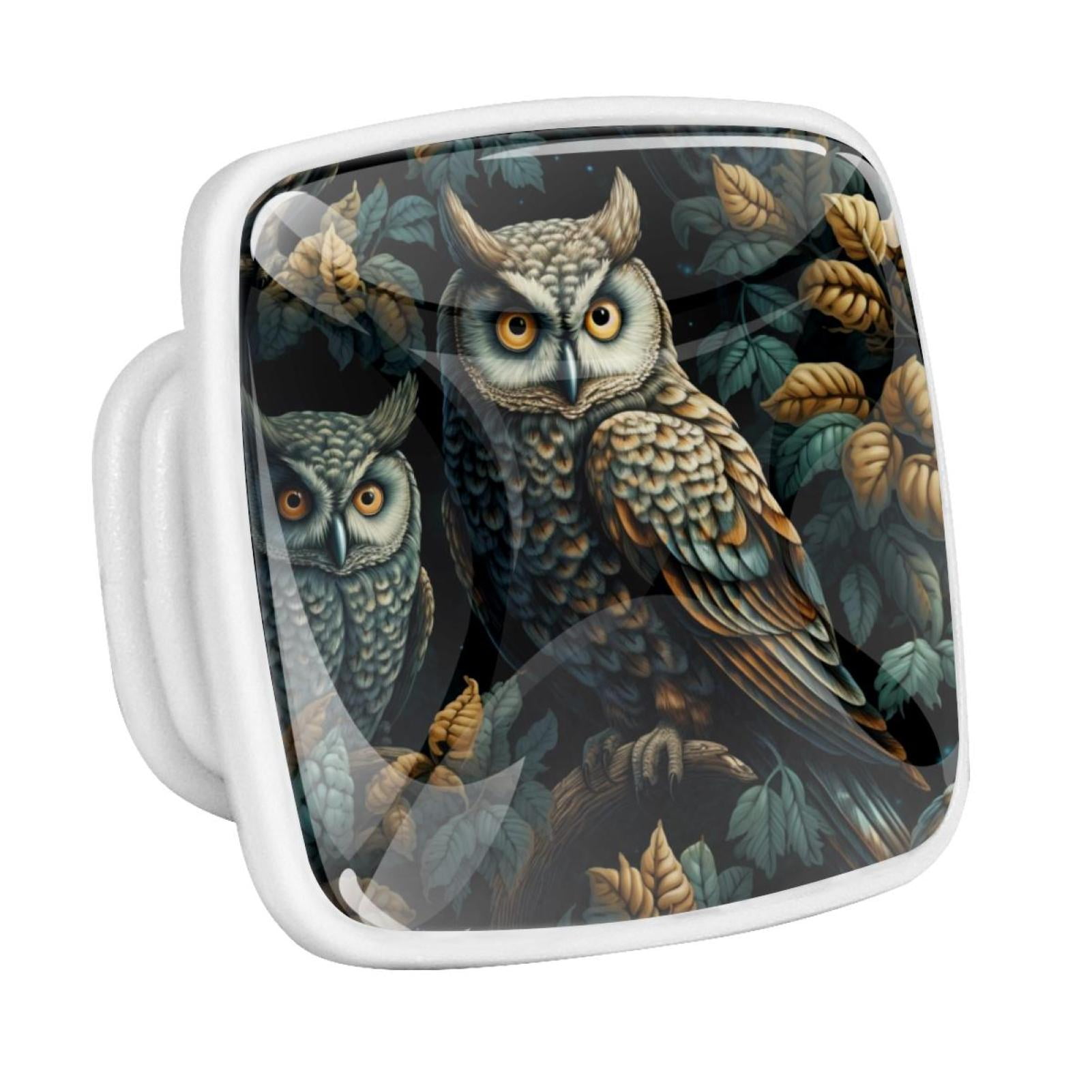 Owl Birds Fluorescent Drawer Pulls with Screws Square 4-Pack Glow Dark ...
