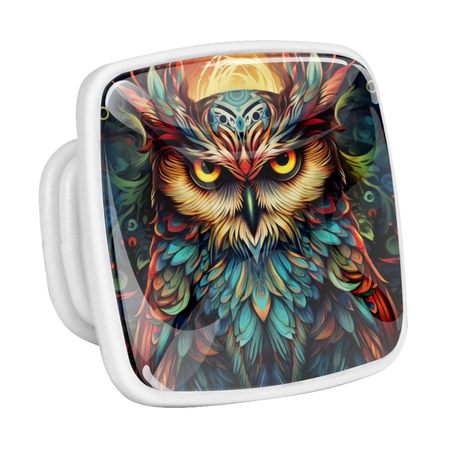 Owl Birds Fluorescent Drawer Pulls with Screws Square 4-Pack Glow Dark ...