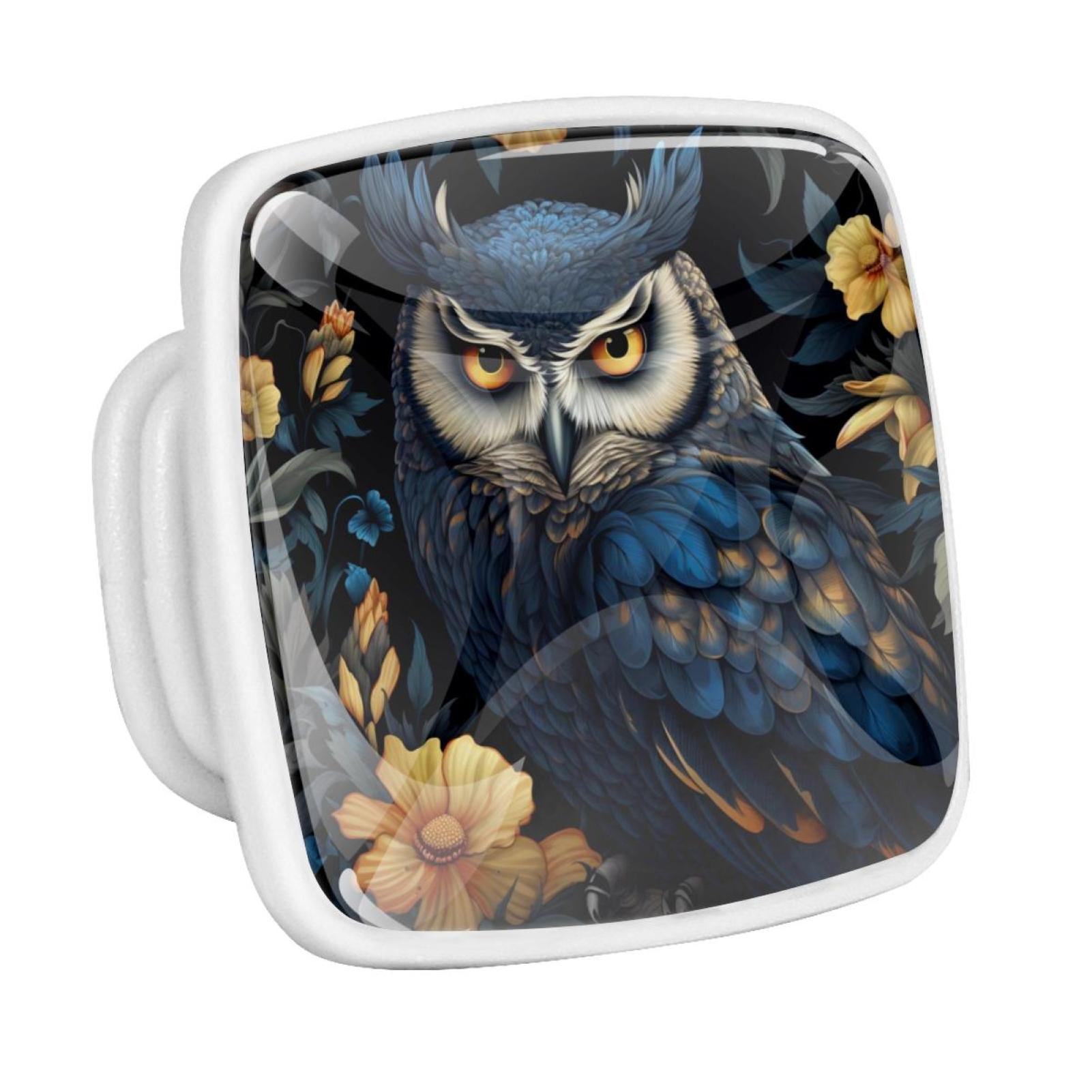 Owl Birds Fluorescent Drawer Pulls with Screws Square 4-Pack Glow Dark ...