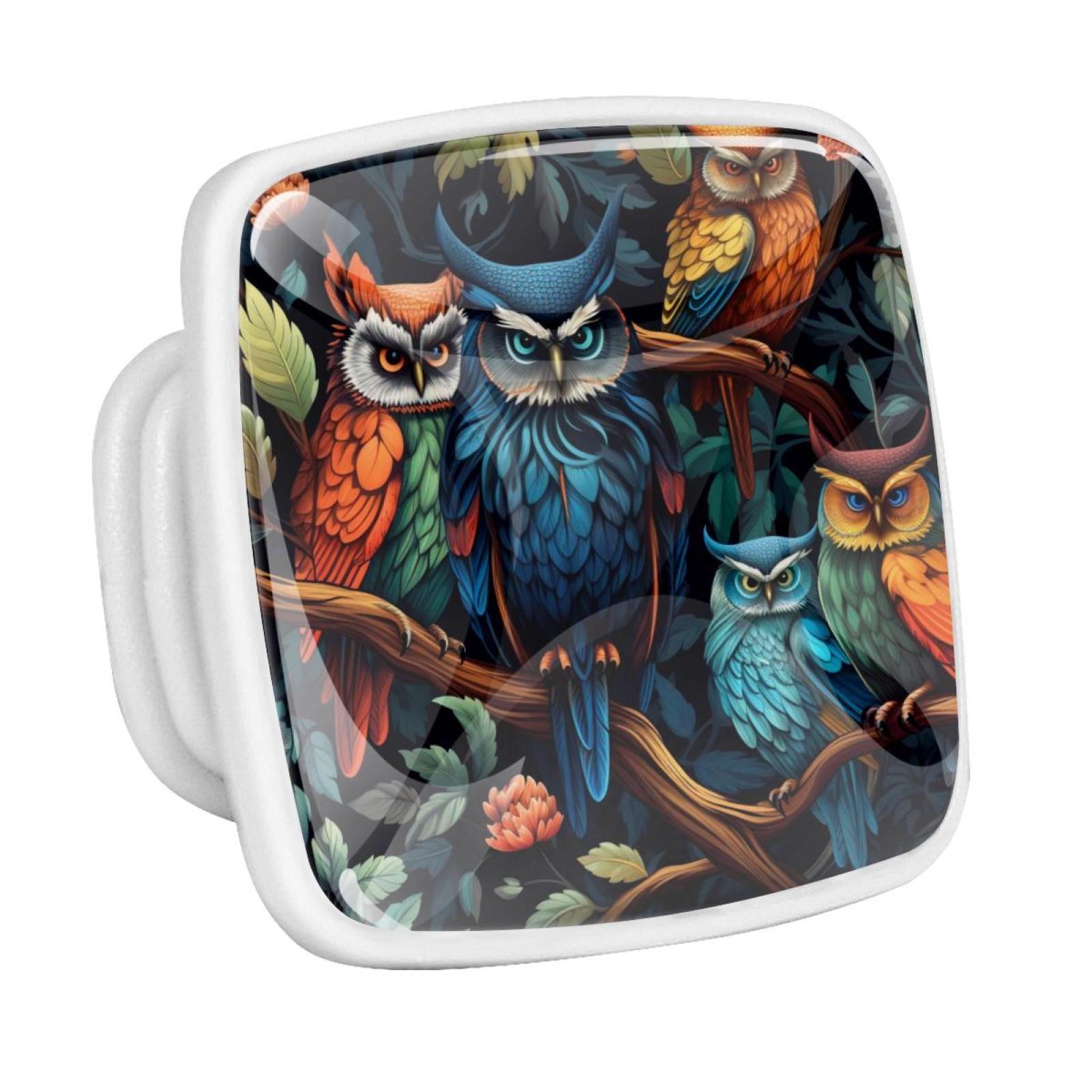 Owl Birds Fluorescent Drawer Pulls with Screws Square 4-Pack Glow Dark ...