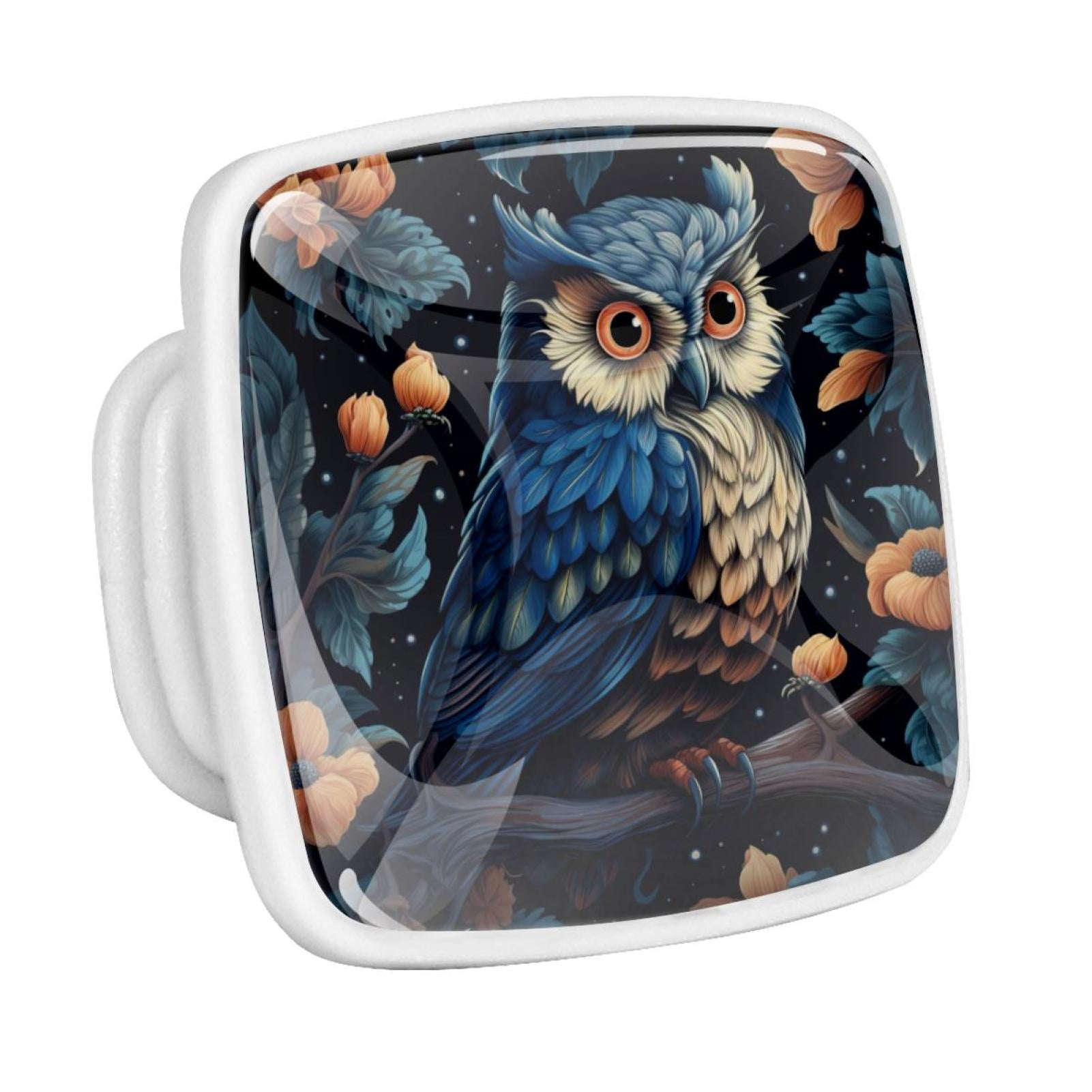 Owl Birds Fluorescent Drawer Pulls with Screws Square 4-Pack Glow Dark ...