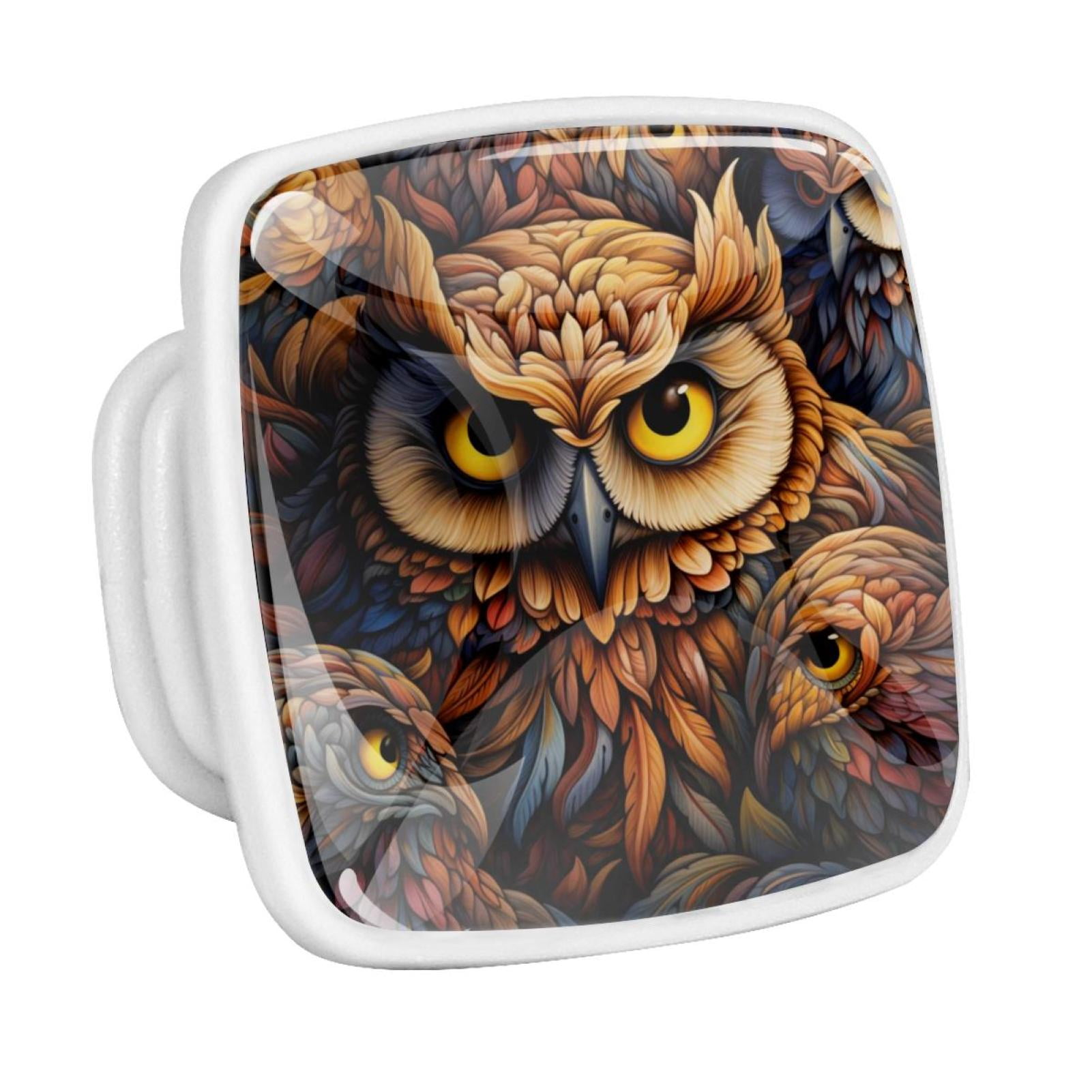 Owl Birds Fluorescent Drawer Pulls with Screws Square 4-Pack Glow Dark ...