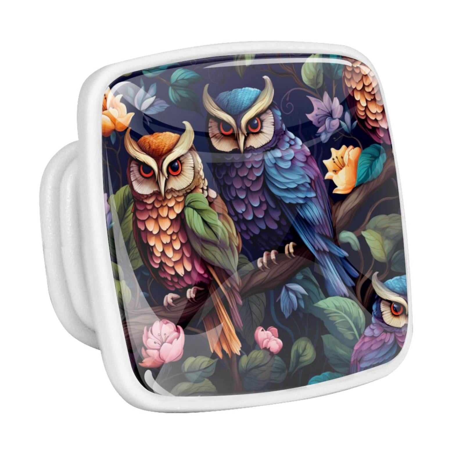 Owl Birds Fluorescent Drawer Pulls with Screws Square 4-Pack Glow Dark ...