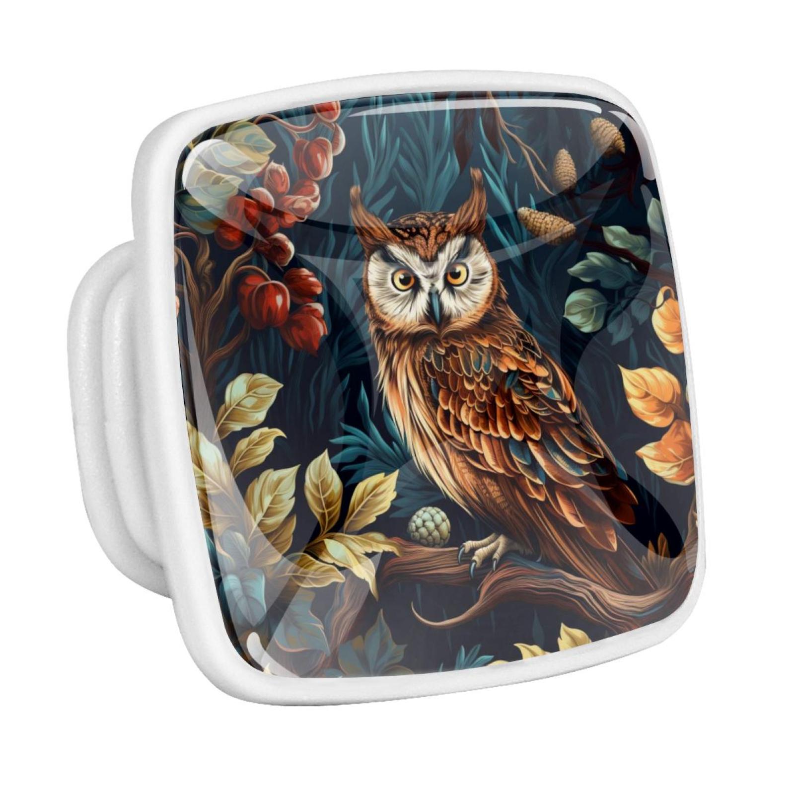 Owl Birds Fluorescent Drawer Pulls with Screws Square 4-Pack Glow Dark ...