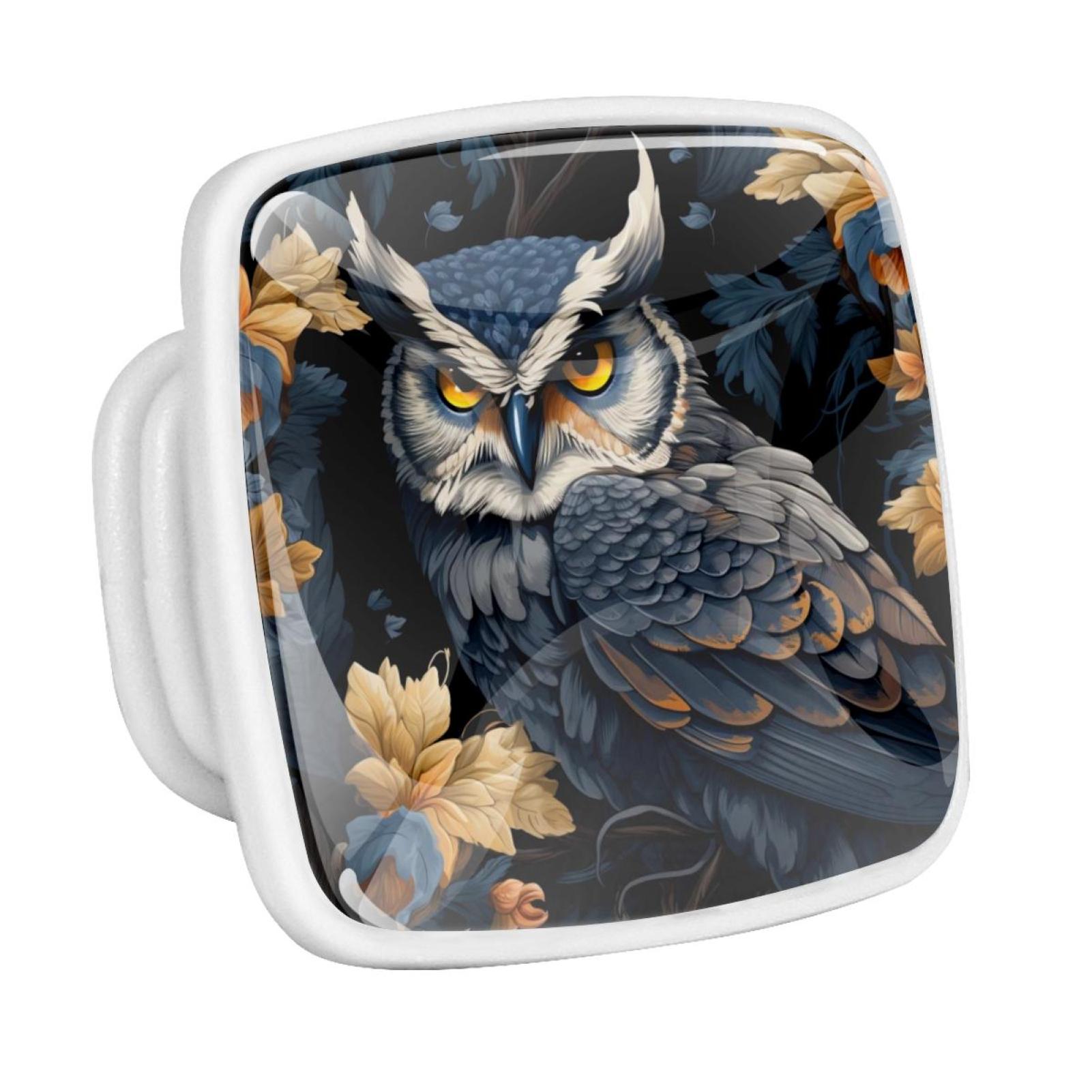 Owl Birds Fluorescent Drawer Pulls with Screws Square 4-Pack Glow Dark ...