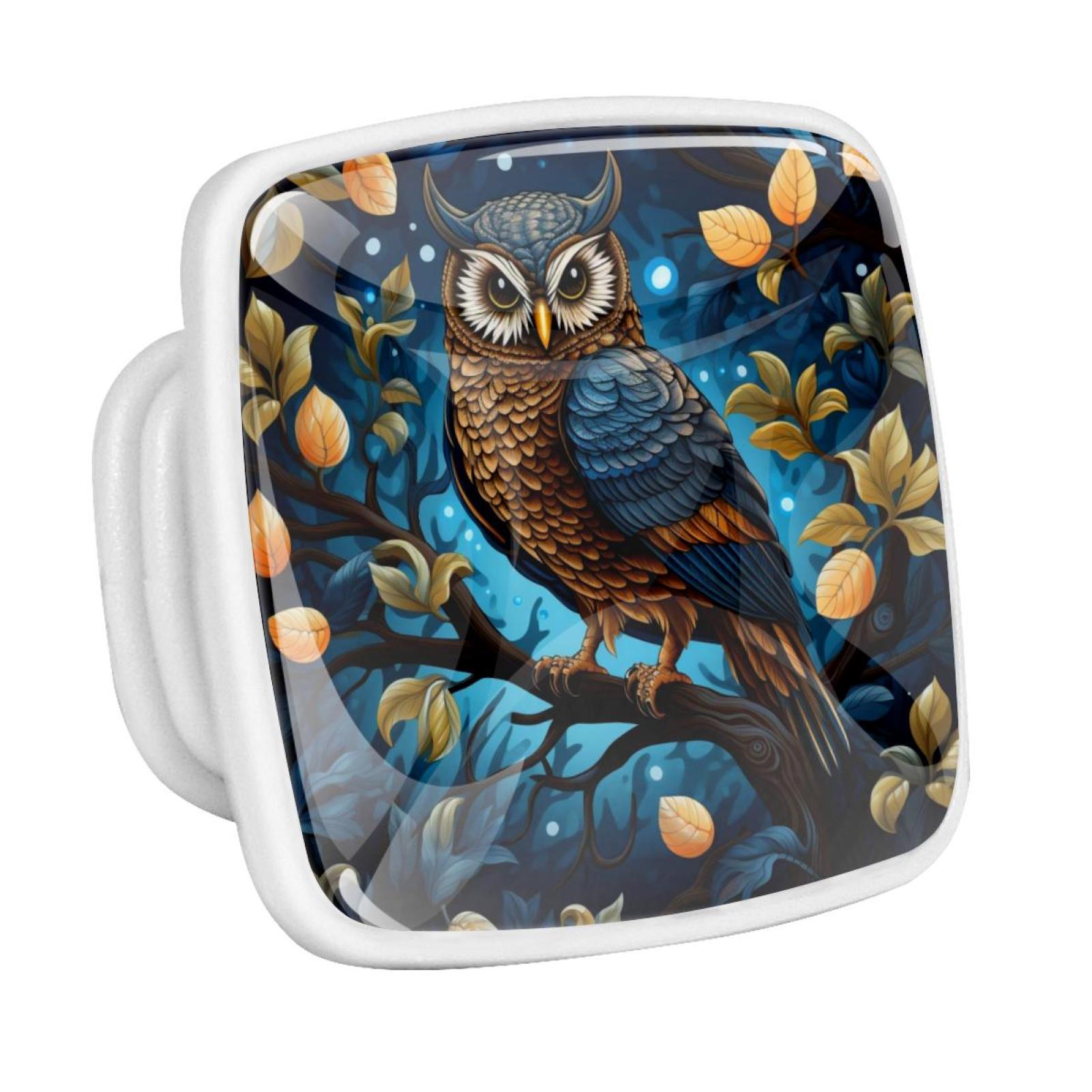 Owl Birds Fluorescent Drawer Pulls with Screws Square 4-Pack Glow Dark ...