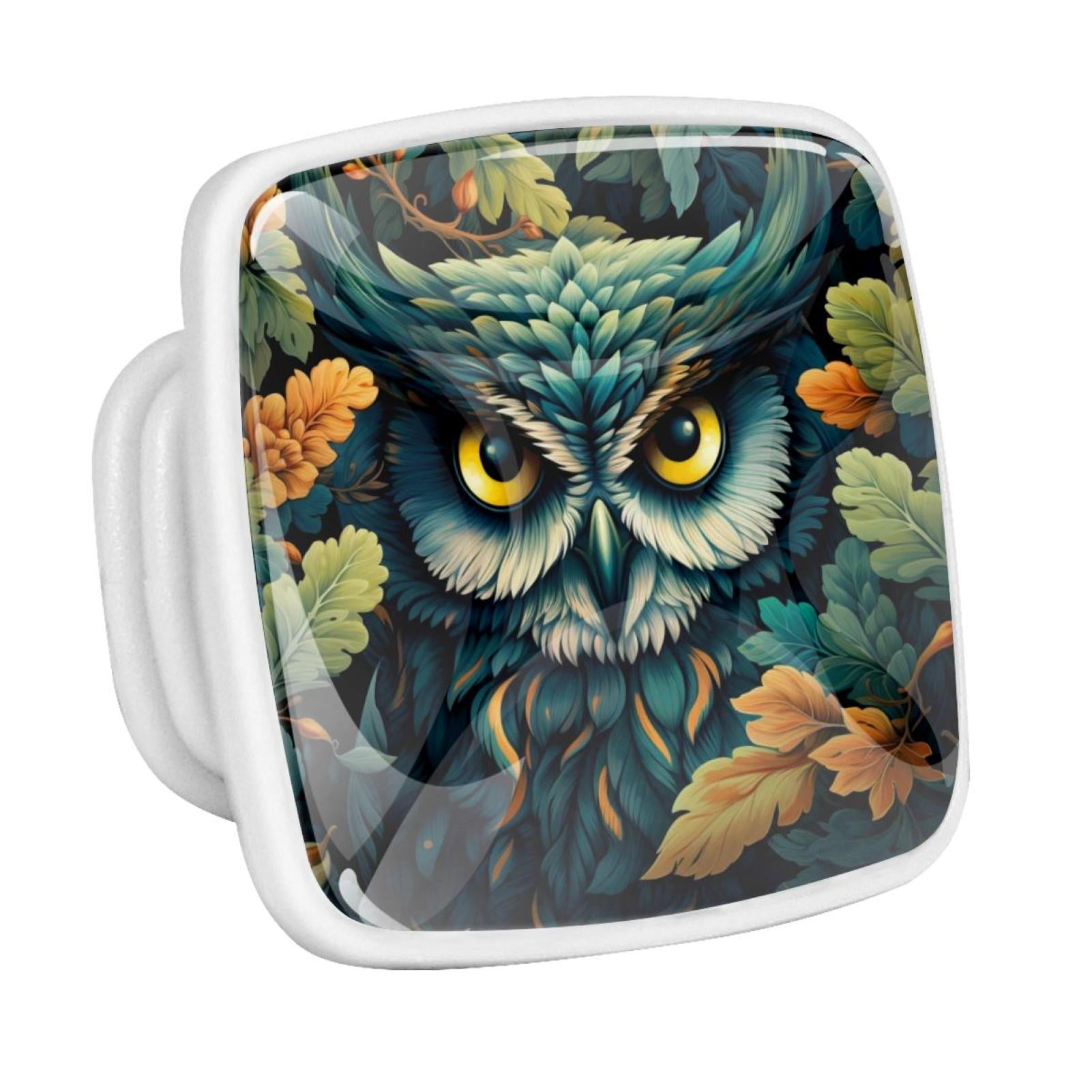 Owl Birds Fluorescent Drawer Pulls with Screws Square 4-Pack Glow Dark ...