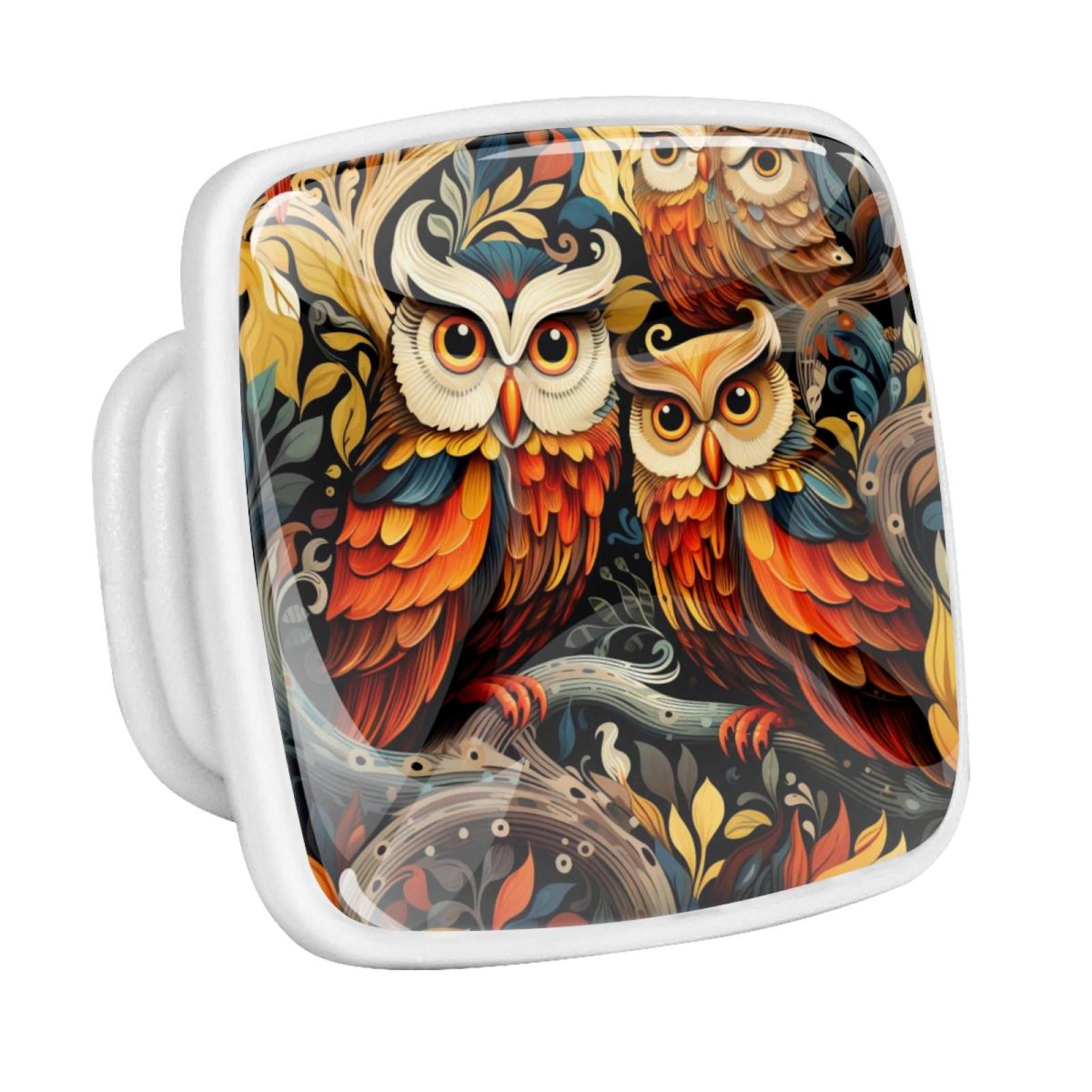 Owl Birds Fluorescent Drawer Pulls with Screws Square 4-Pack Glow Dark ...