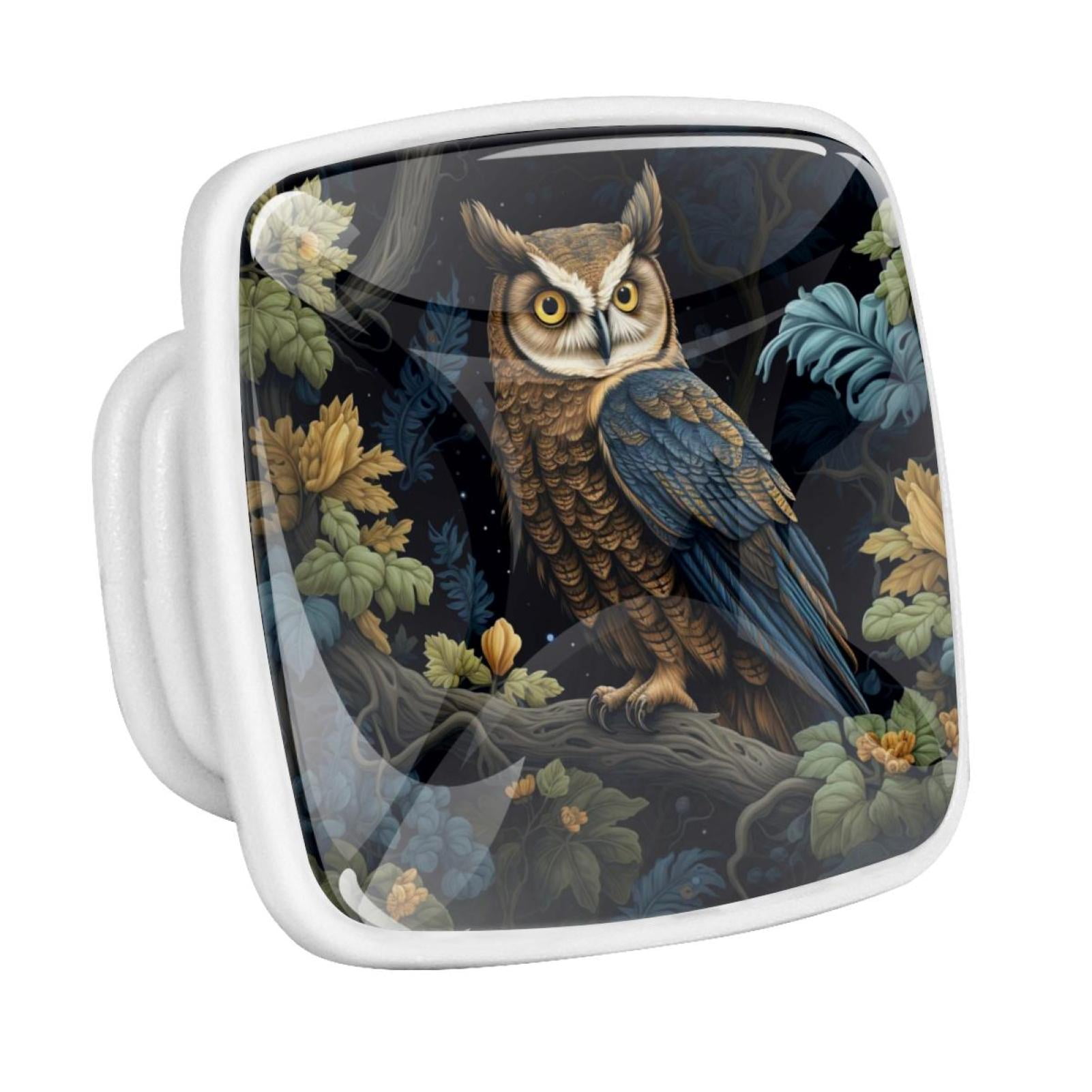 Owl Birds Fluorescent Drawer Pulls with Screws Square 4-Pack Glow Dark ...