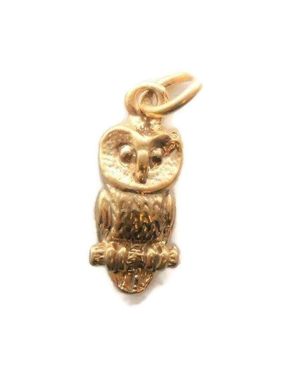 Owl (Buho) Charm Pendant 14k Yellow Gold!! - Walmart.com