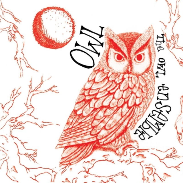 Owl (CD) - Walmart.com