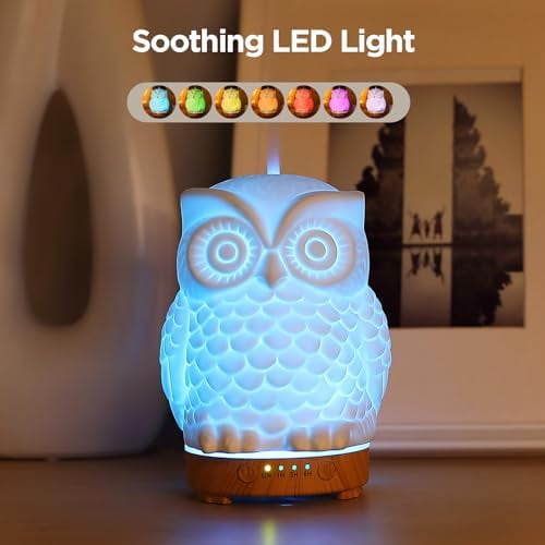 Owl Ceramic Aromatherapy Diffuser 160ml Stone ultrasonic Cool Mist ...