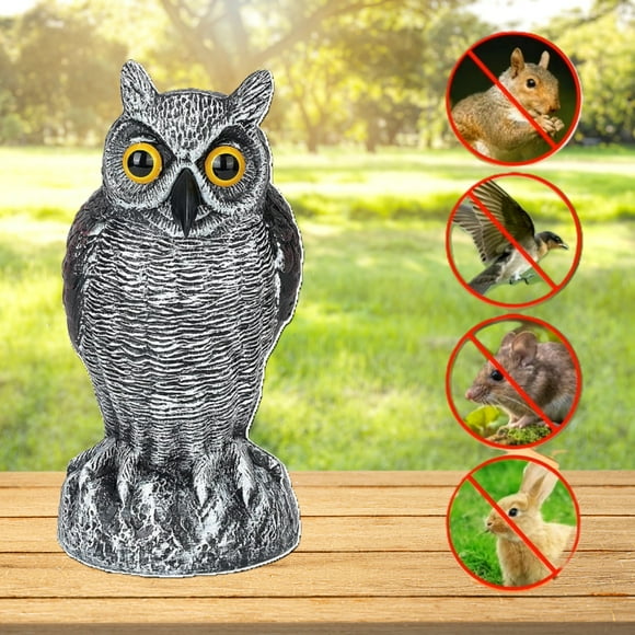 Owl Decoys