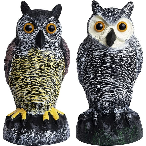 Owl Decoys