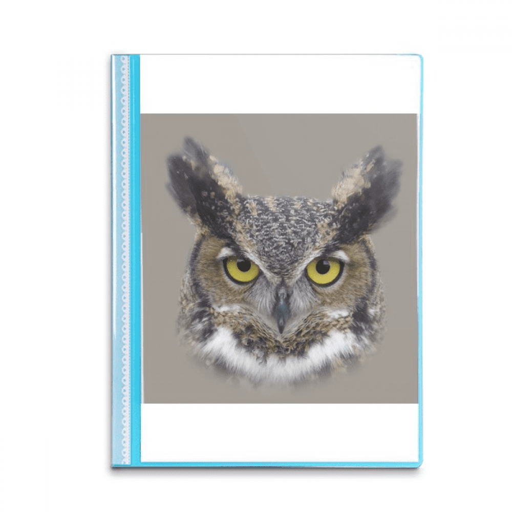Owl Eyes Pupil Night Art Deco Fashion Book Sheet Protectors Portfolio ...
