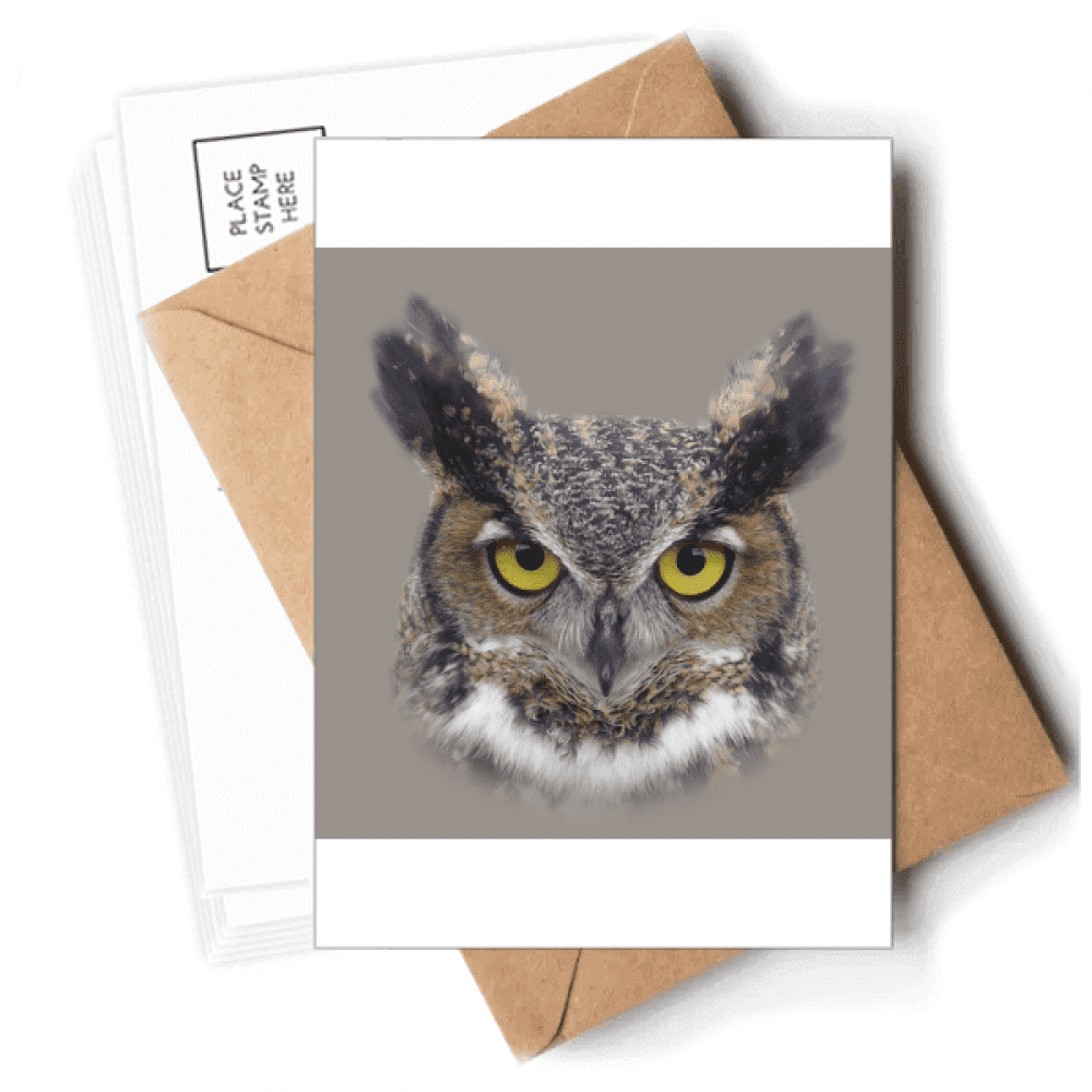 Owl Eyes Pupil Night Art Deco Fashion Postcards Envelopes Blank Note ...
