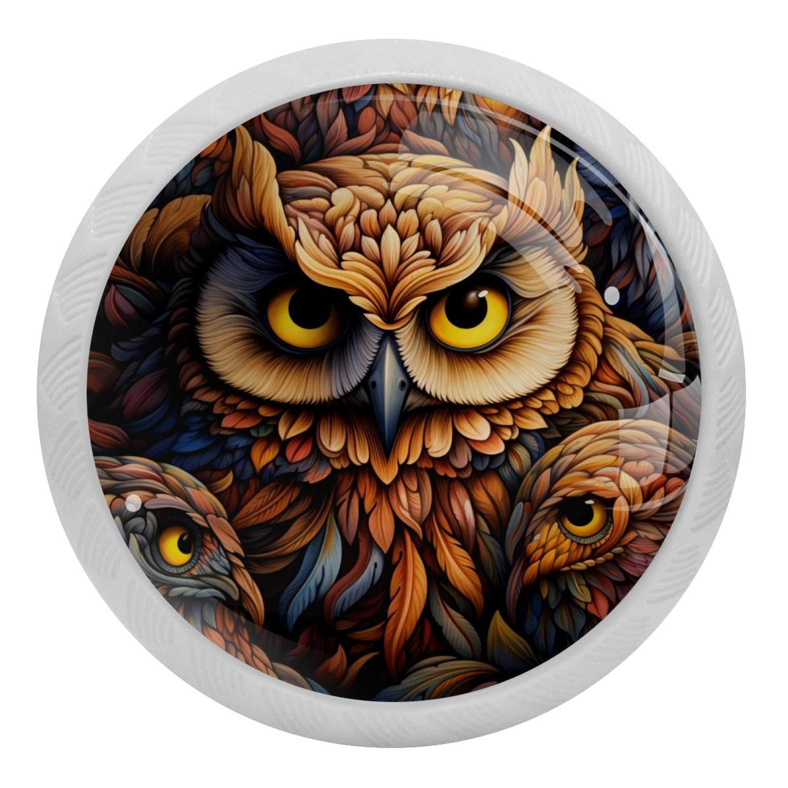 Owl Fluorescent Drawer Pulls with Screws: Round 4-Pack of Glow-in-the ...