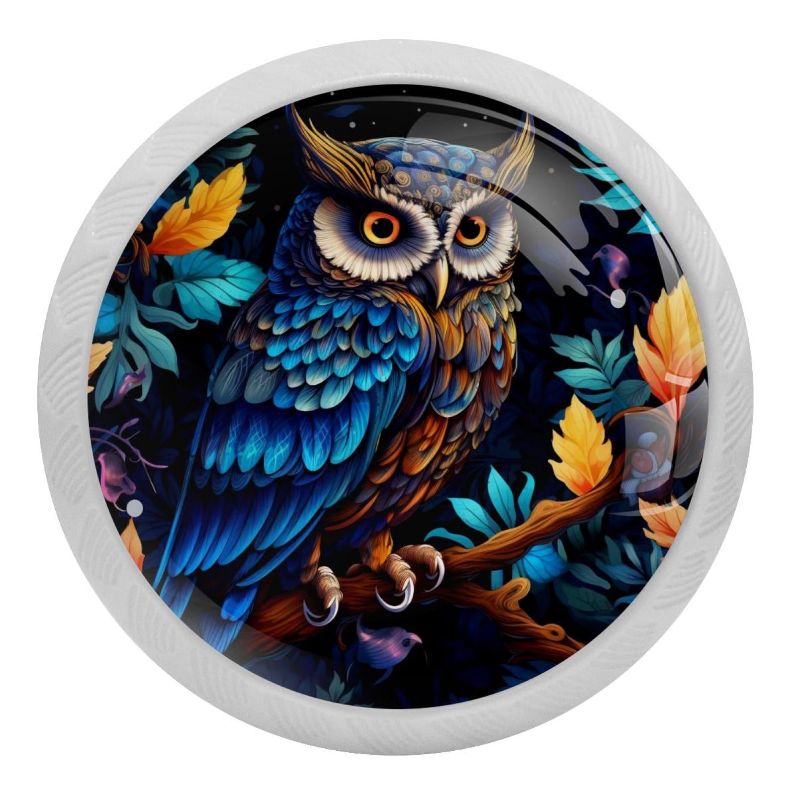 Owl Fluorescent Drawer Pulls with Screws: Round 4-Pack, Glow-in-the ...