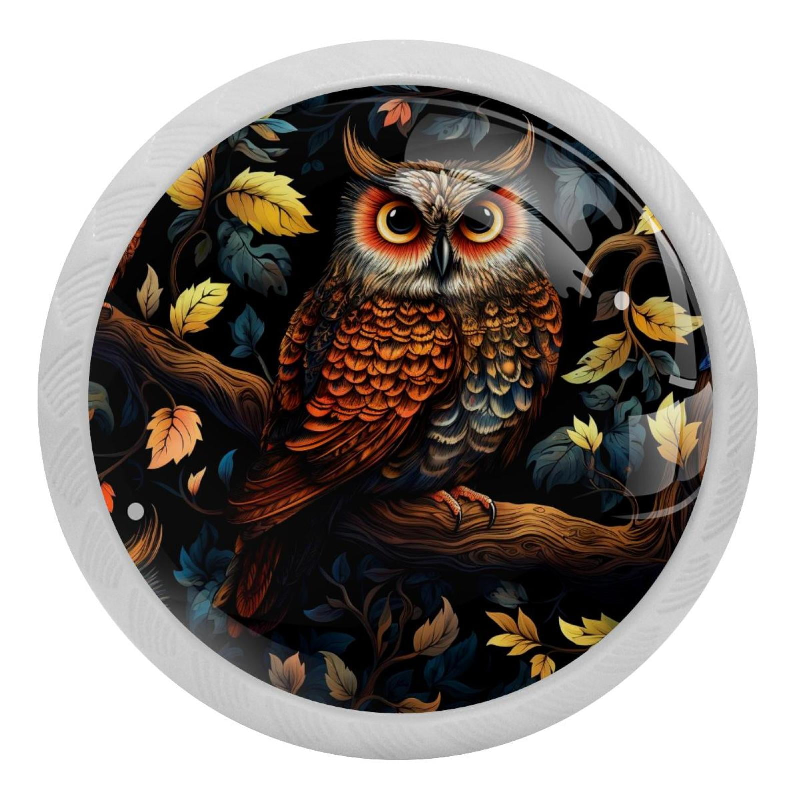 Owl Fluorescent Drawer Pulls with Screws: Round 4-Pack, Glow-in-the ...