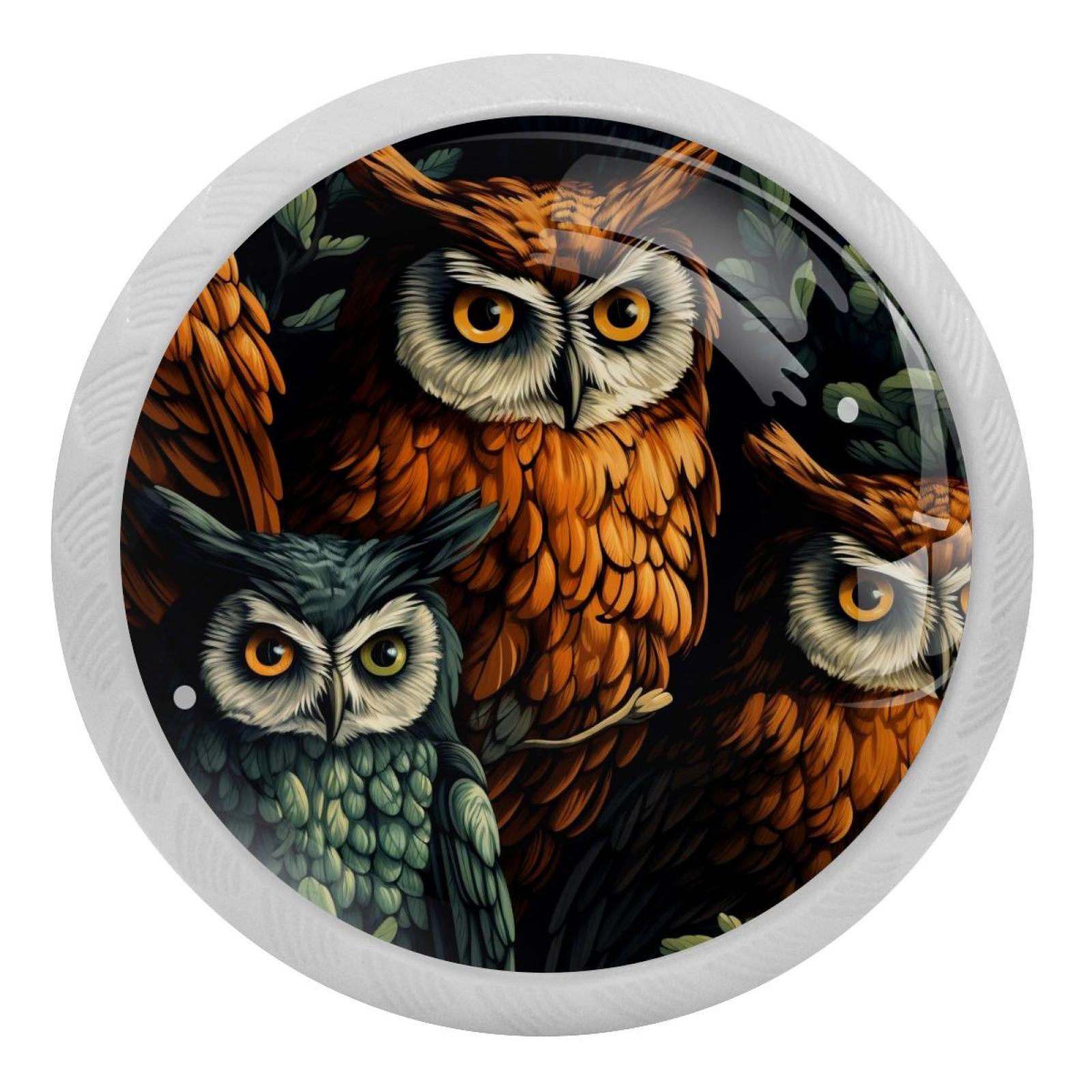 Owl Fluorescent Drawer Pulls with Screws: Round 4-Pack, Glow-in-the ...