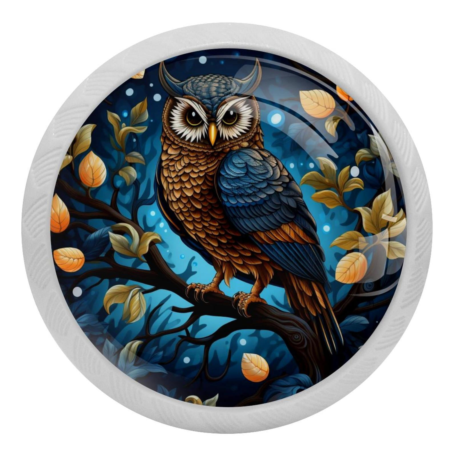 Owl Fluorescent Drawer Pulls with Screws: Round 4-Pack, Glow-in-the ...