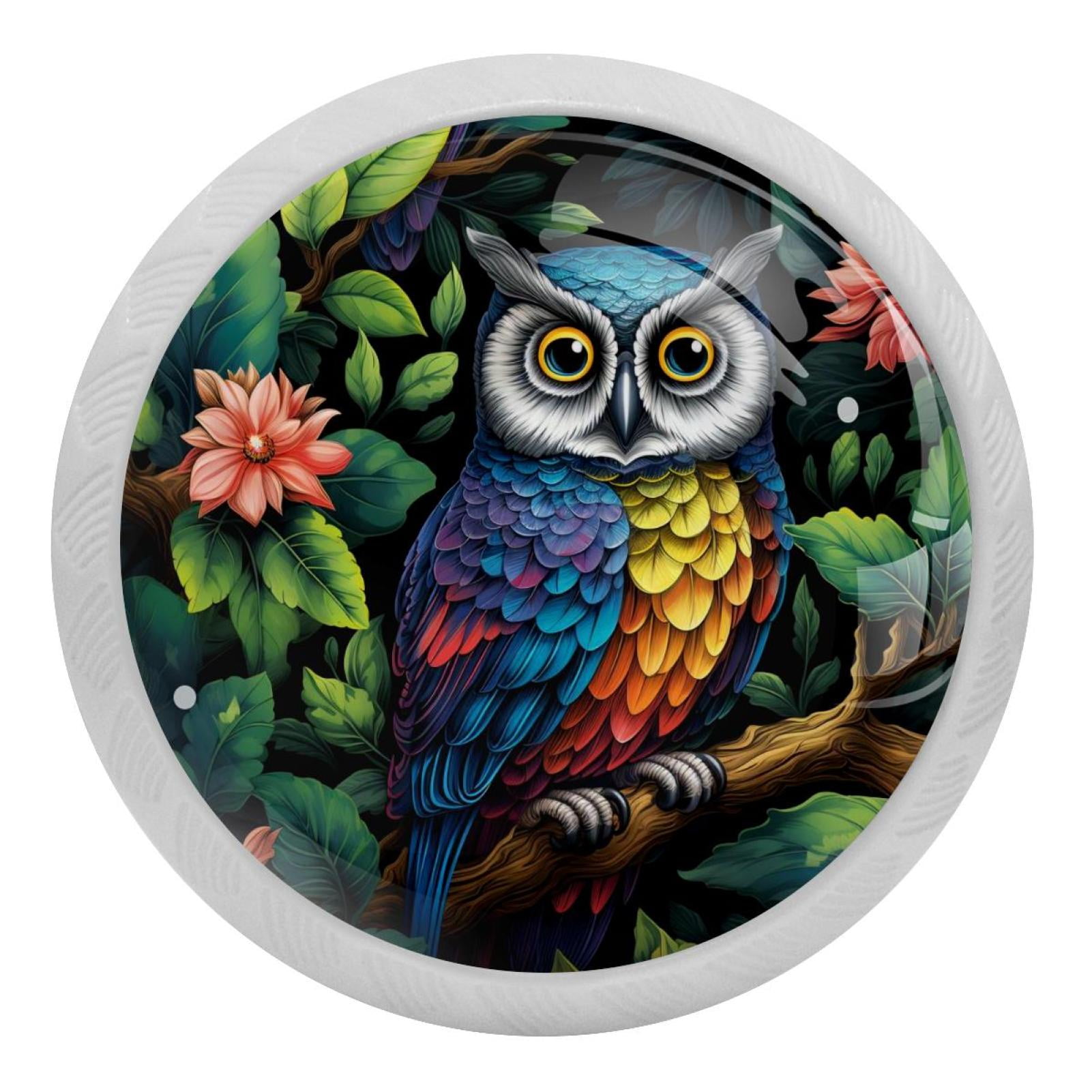 Owl Fluorescent Drawer Pulls with Screws: Round 4-Pack Glow-in-the-Dark ...