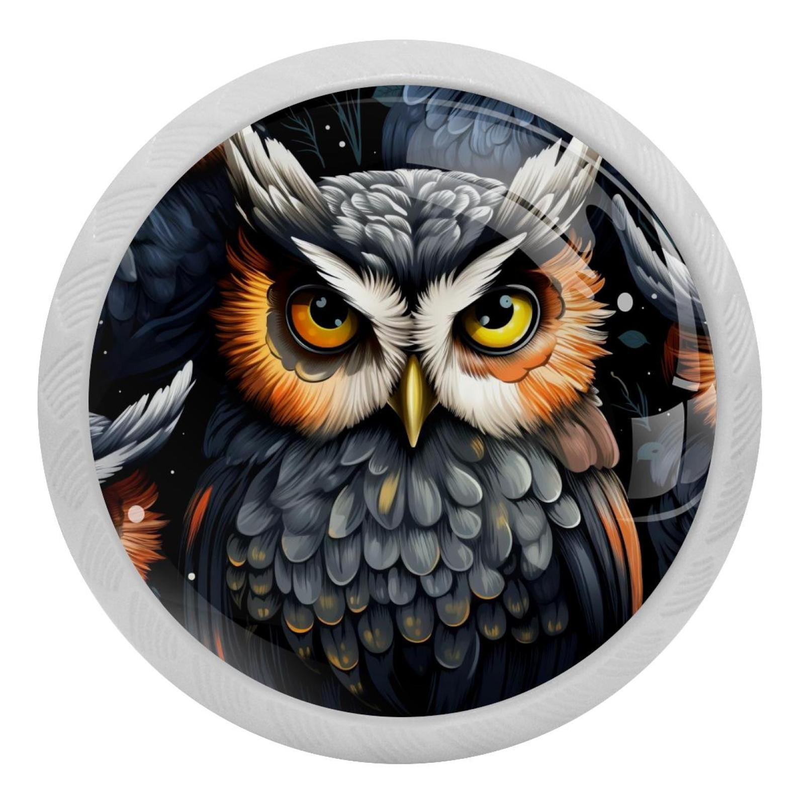 Owl Fluorescent Drawer Pulls with Screws - Round 4-Pack Glow-in-the ...