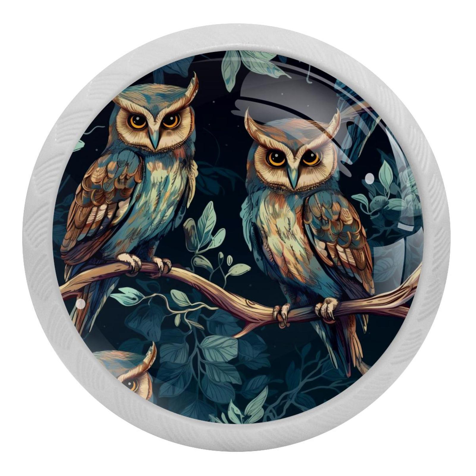 Owl Fluorescent Drawer Pulls with Screws, Round 4-Pack, Glow-in-the ...