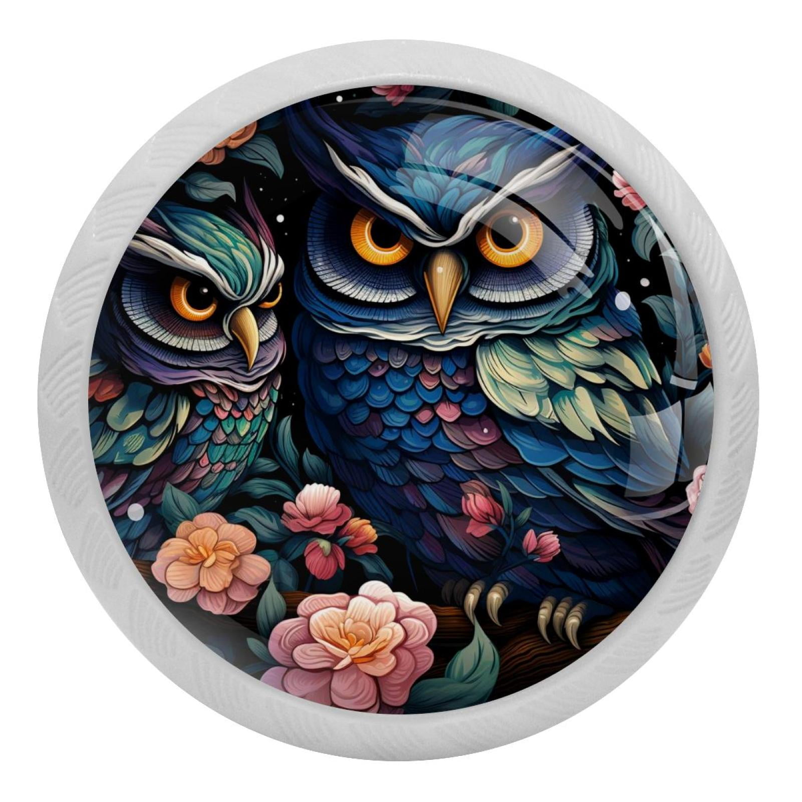 Owl Fluorescent Drawer Pulls with Screws, Round 4-Pack, Glow-in-the ...