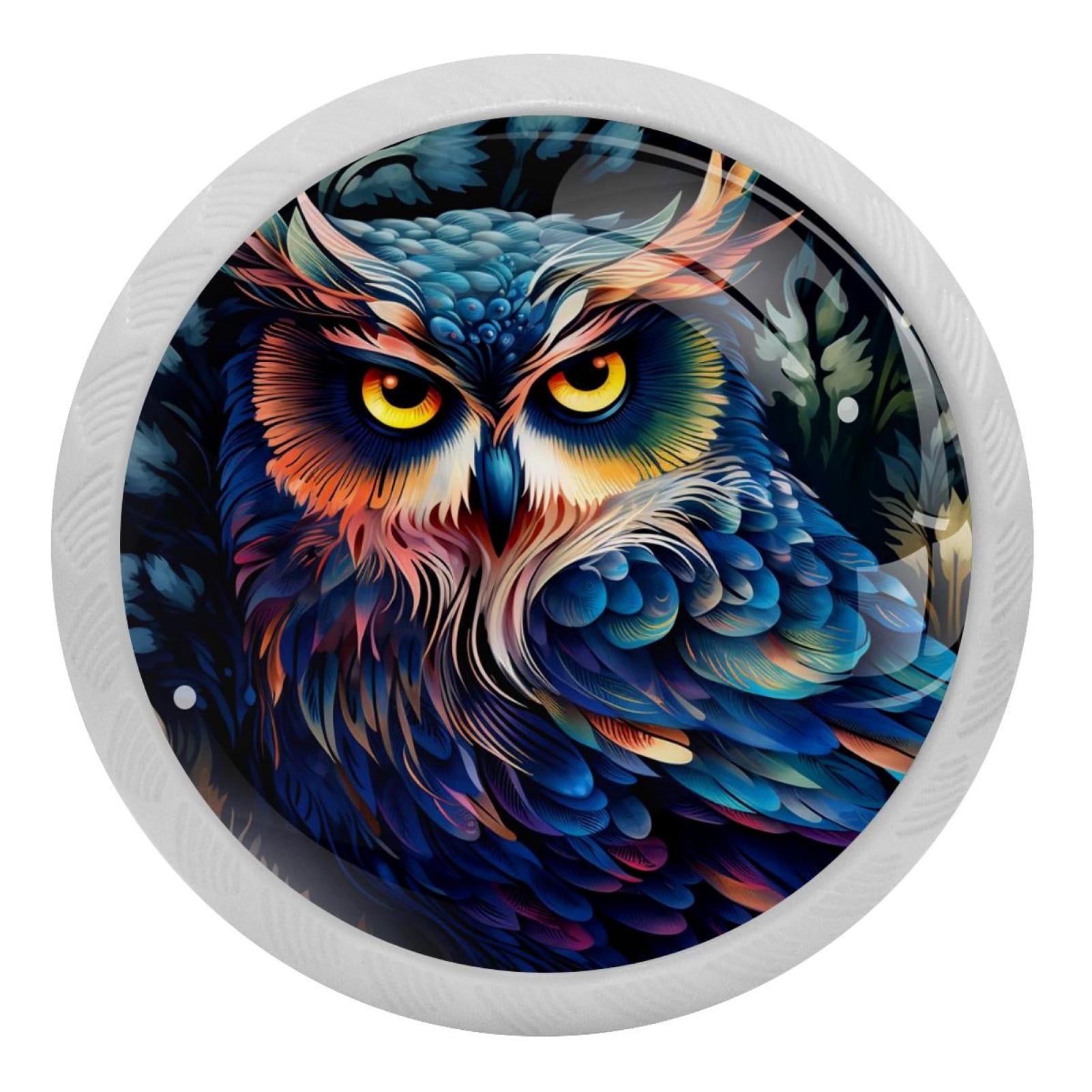 Owl Fluorescent Drawer Pulls with Screws, Round 4-Pack, Glow-in-the ...