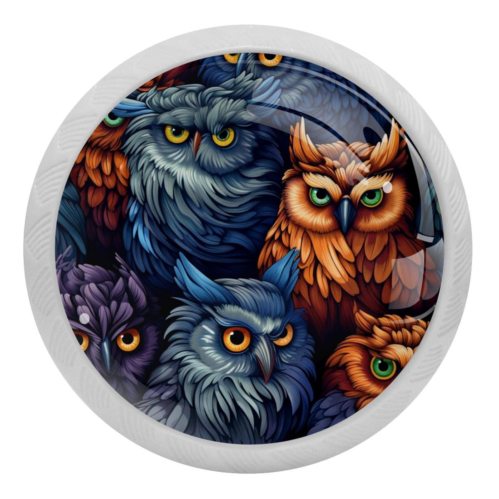 Owl Fluorescent Drawer Pulls with Screws, Round 4-Pack, Glow-in-the ...