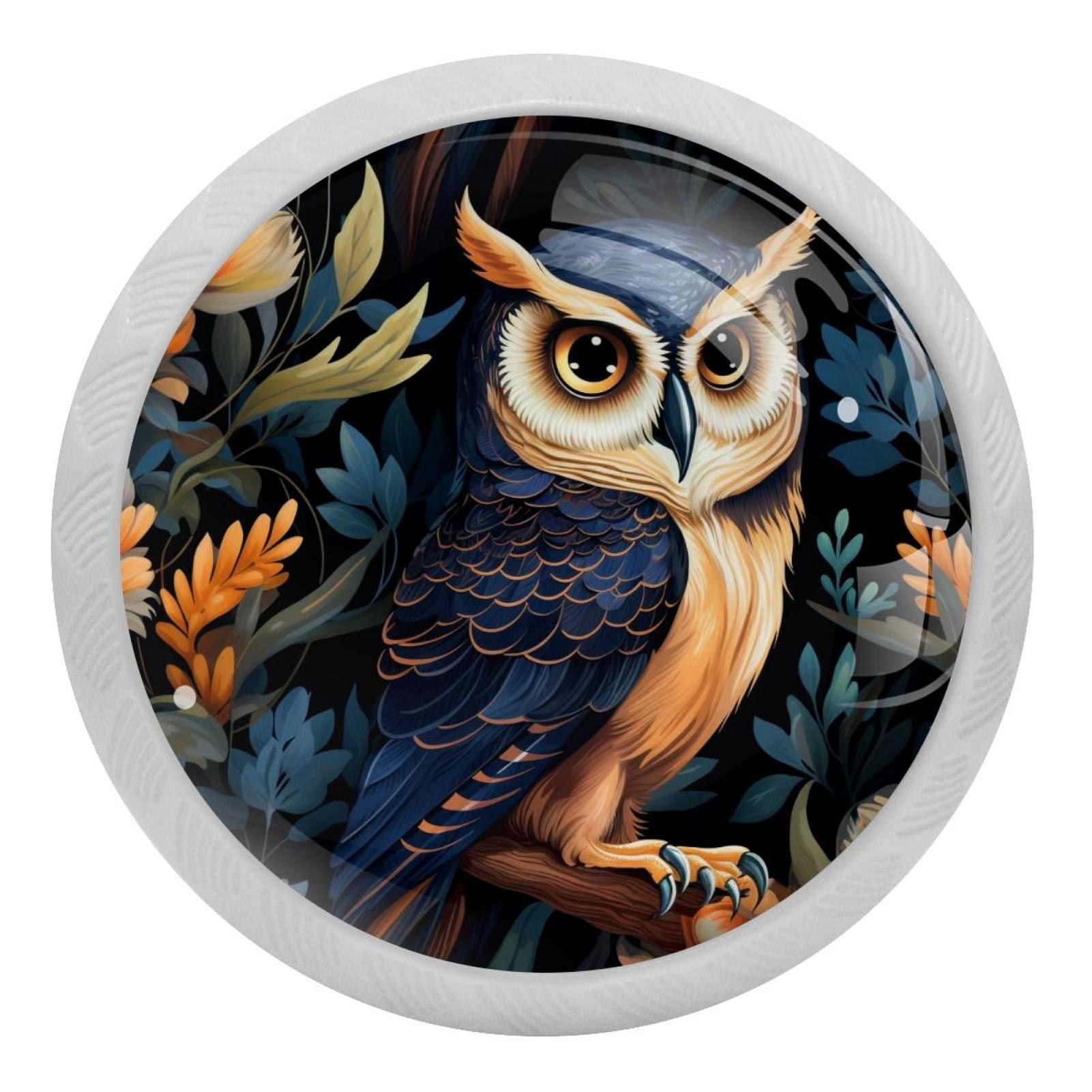 Owl Fluorescent Drawer Pulls with Screws: Round 4-Pack Glow-in-the-Dark ...