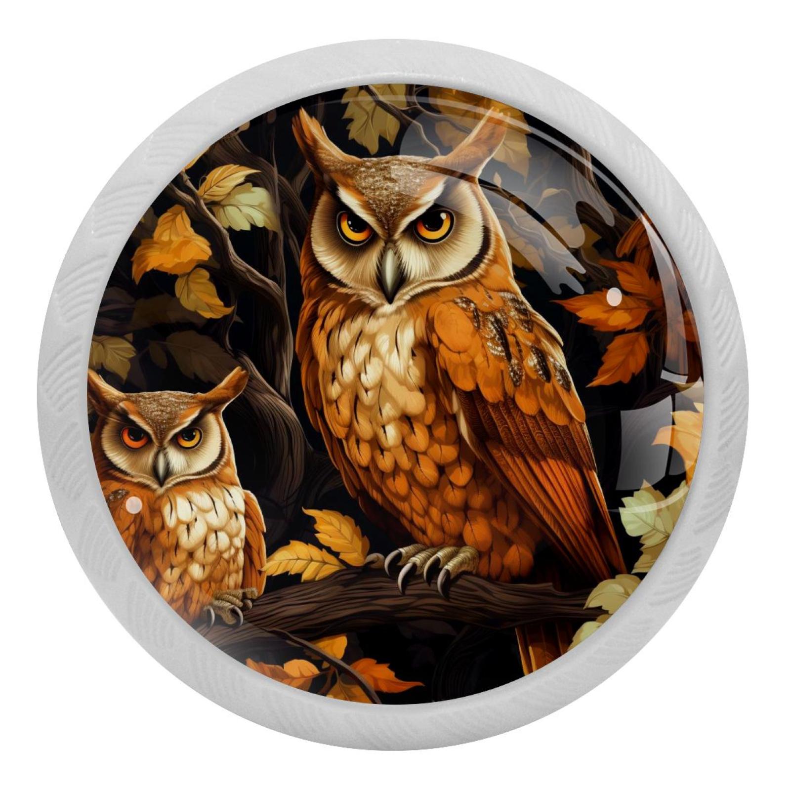 Owl Fluorescent Drawer Pulls with Screws, Round 4-Pack, Glow-in-the ...