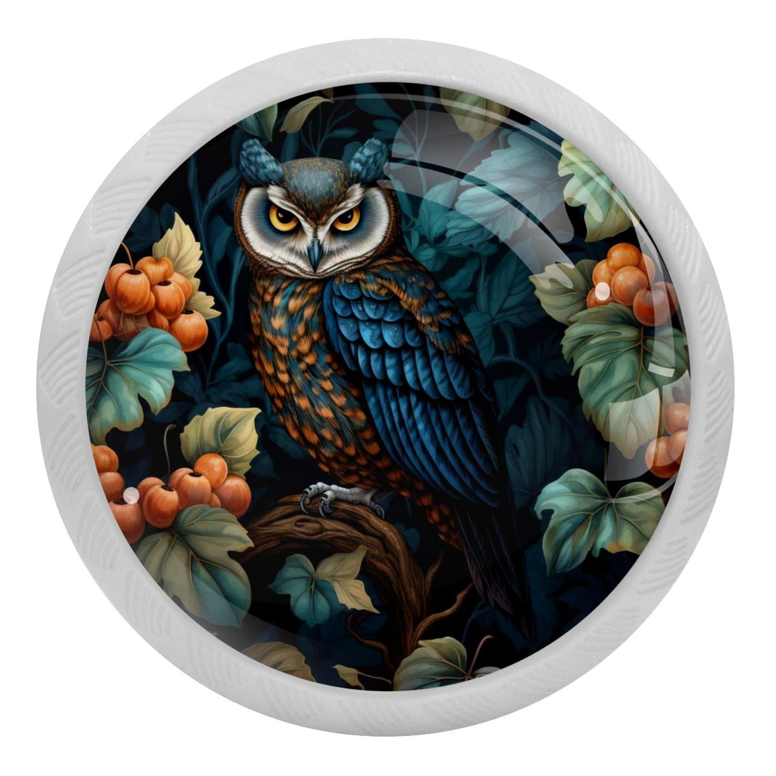 Owl Fluorescent Drawer Pulls with Screws: Round 4-Pack Glow-in-the-Dark ...