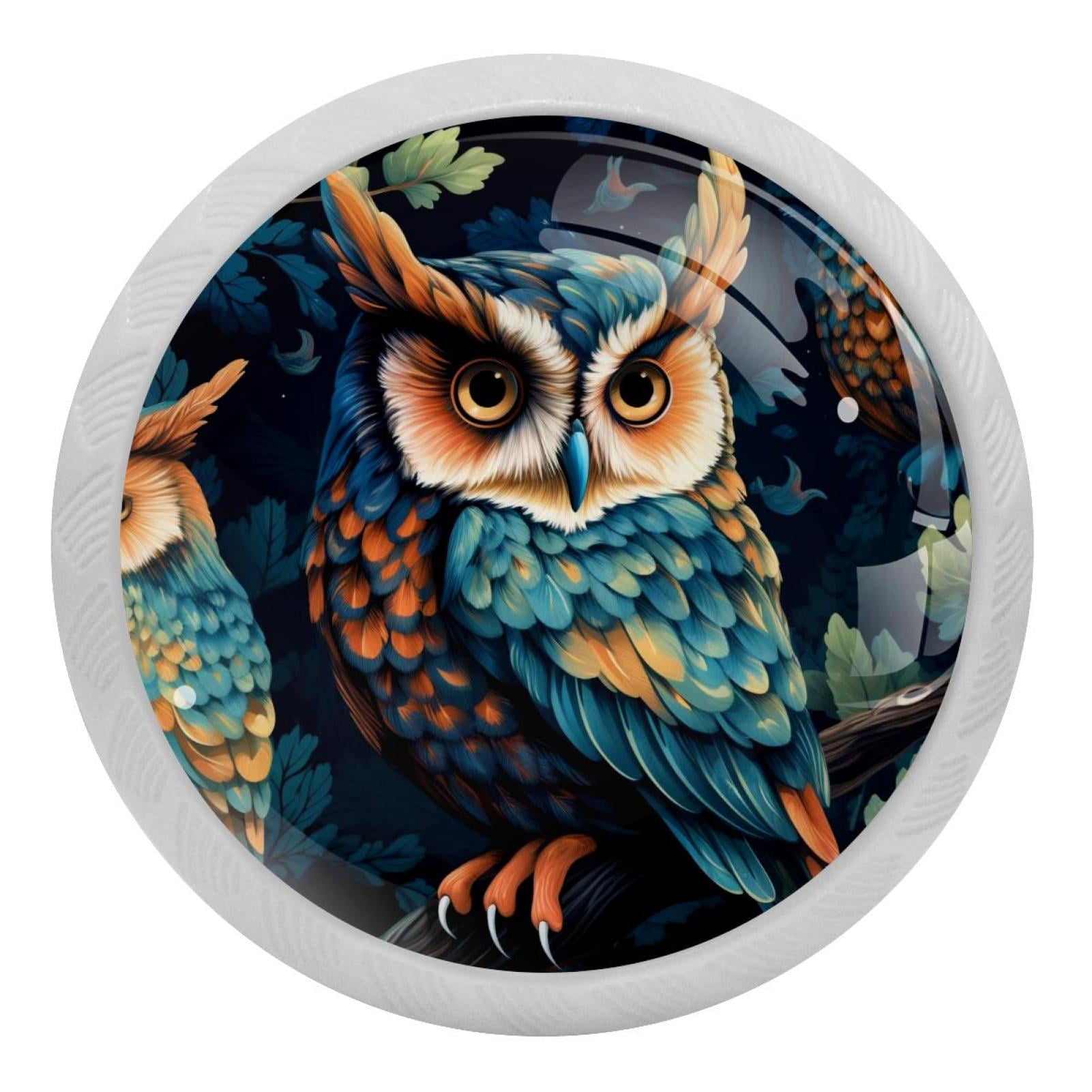 Owl Fluorescent Drawer Pulls with Screws, Round 4-Pack, Glow-in-the ...