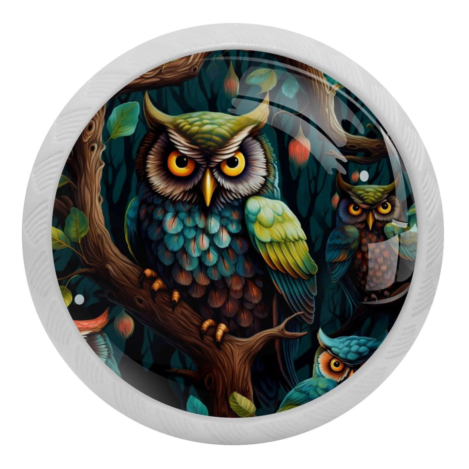 Owl Fluorescent Drawer Pulls with Screws: Round 4-Pack Glow-in-the-Dark ...