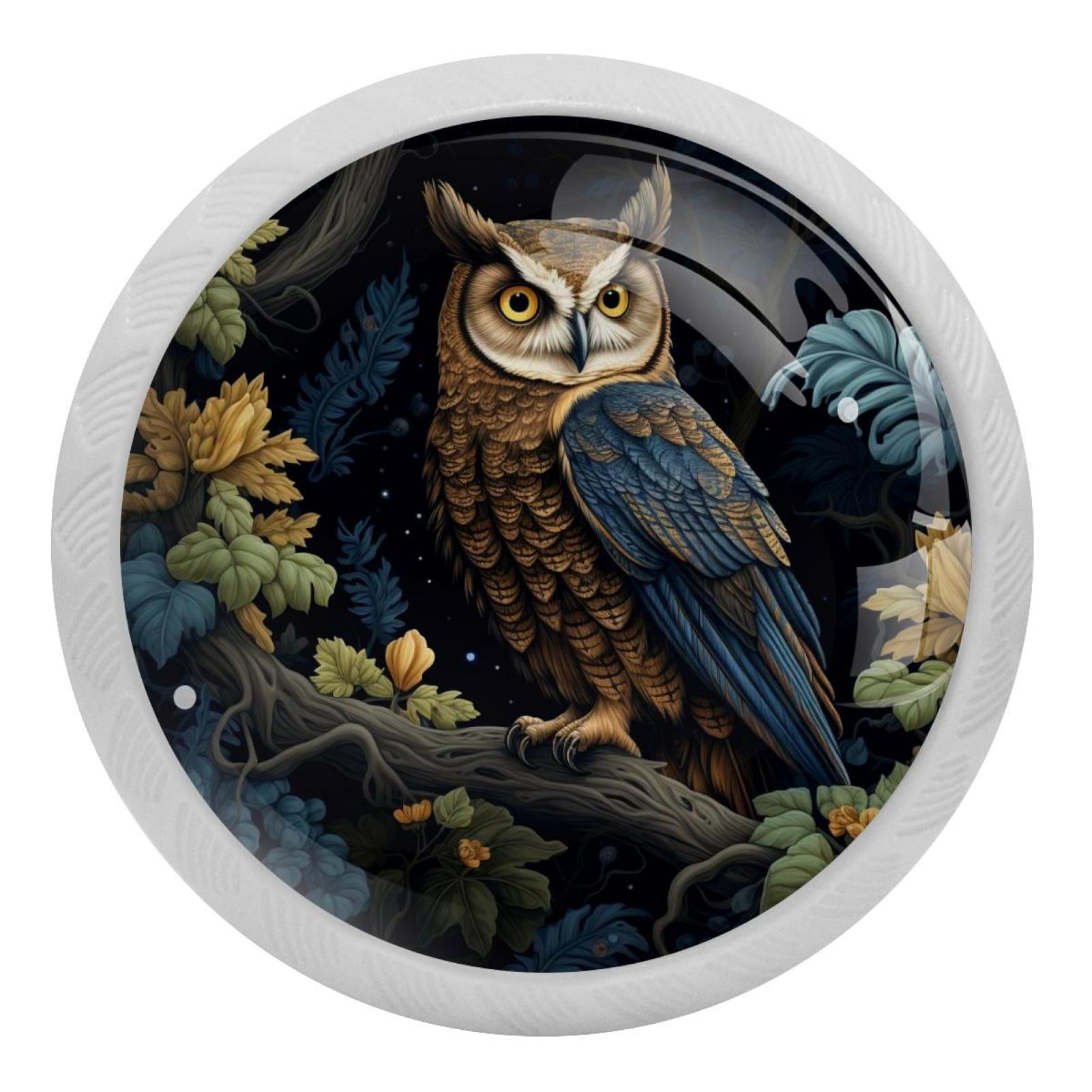 Owl Fluorescent Drawer Pulls with Screws - Round 4-Pack - Glow-in-the ...