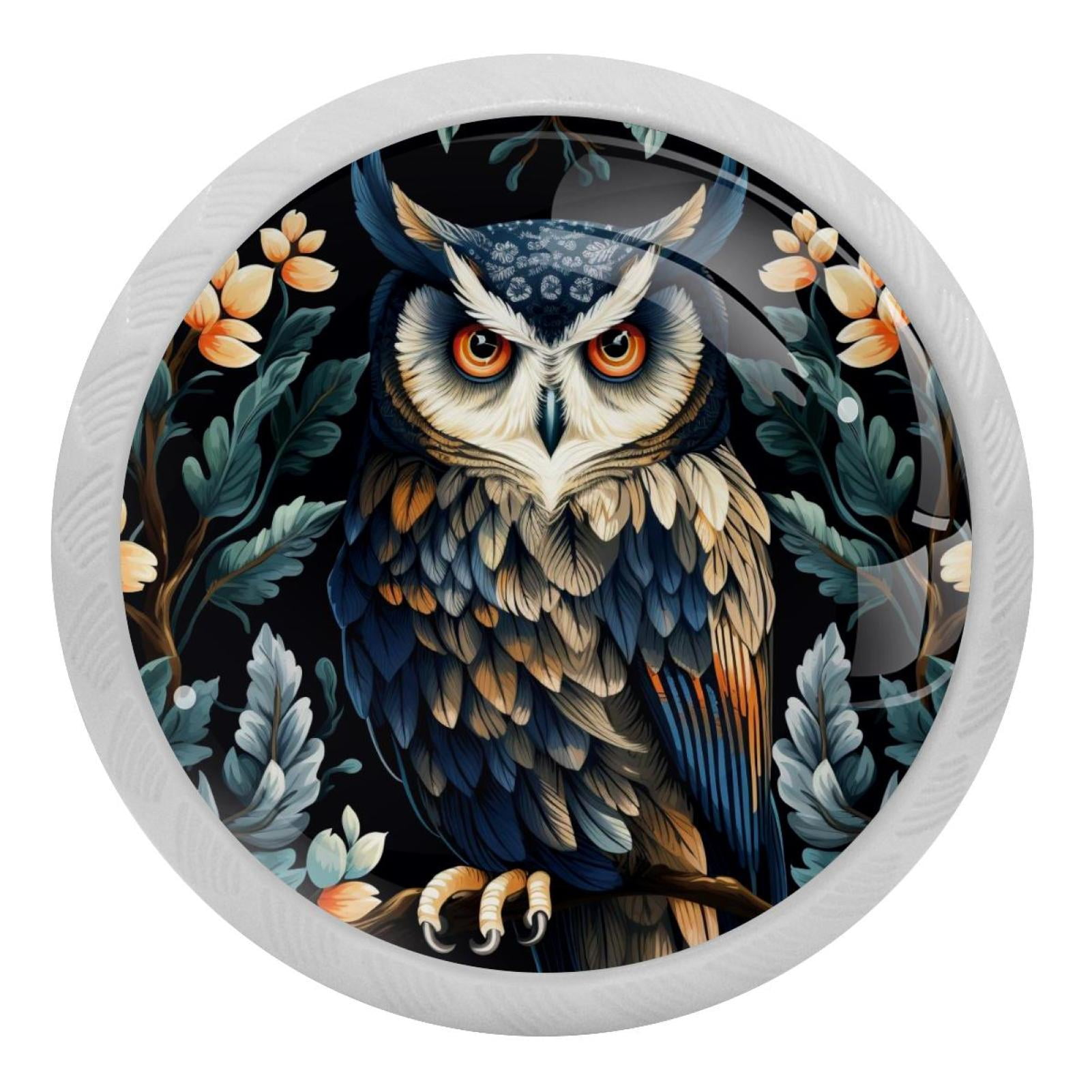 Owl Fluorescent Drawer Pulls with Screws - Round 4-Pack, Glow-in-the ...